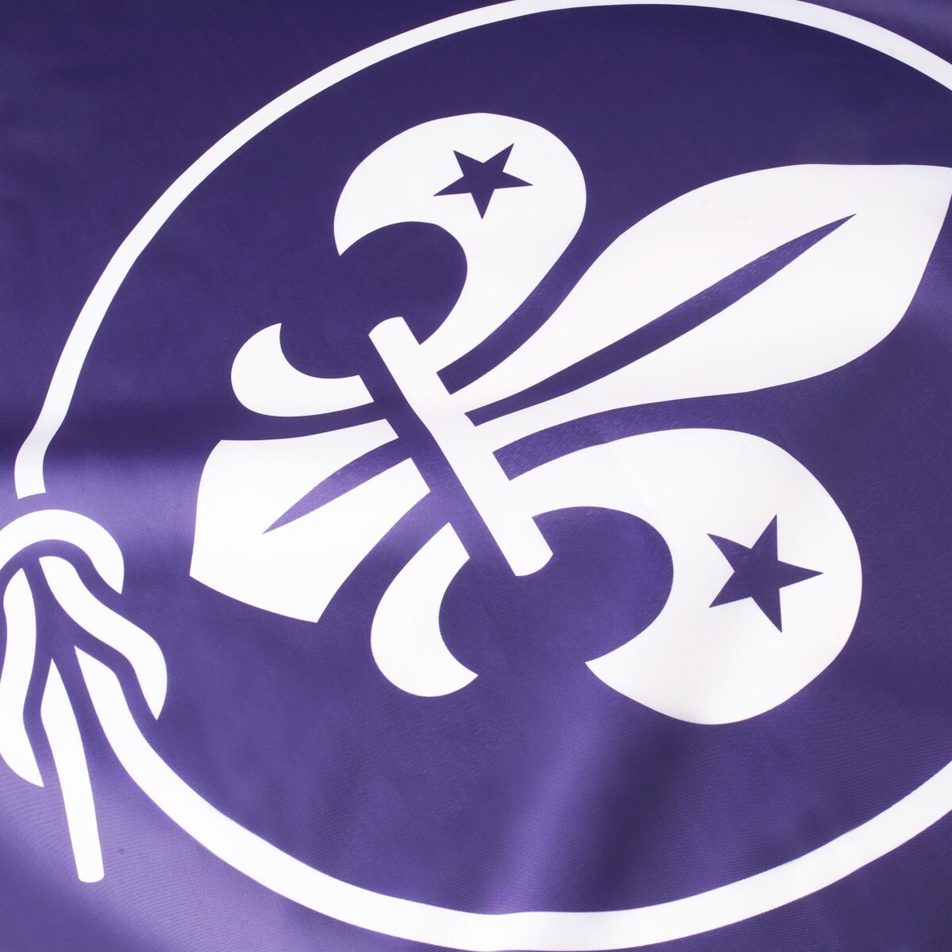 World Scouts Flag | 85cm x 147cm | Scouts Flags