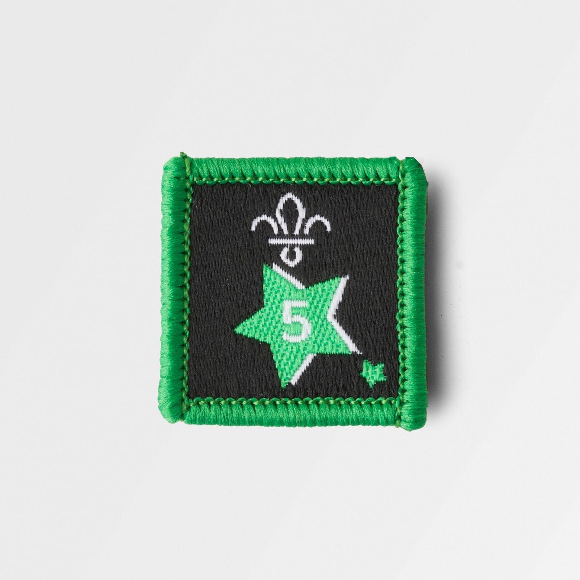Joining in Award Badge 5 | Scouts