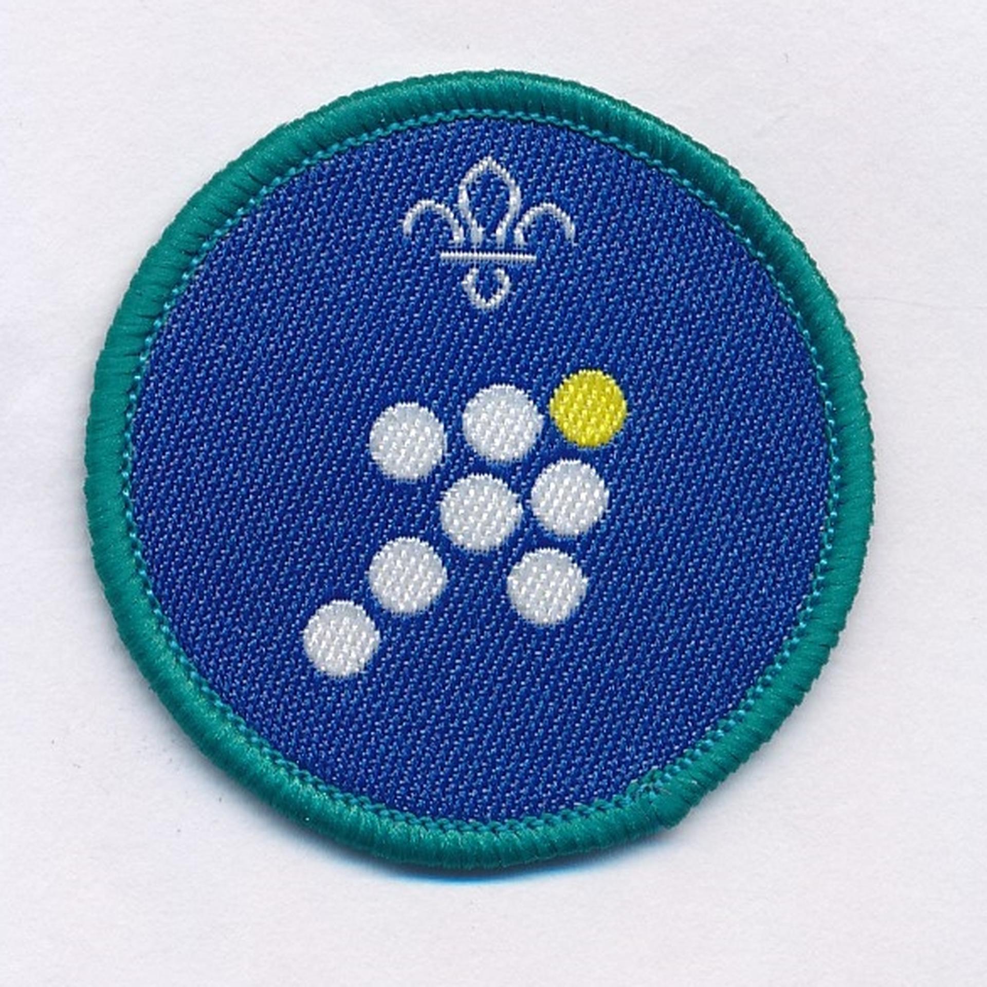 Explorer Scouts Leadership Activity Badge Scouts Sections