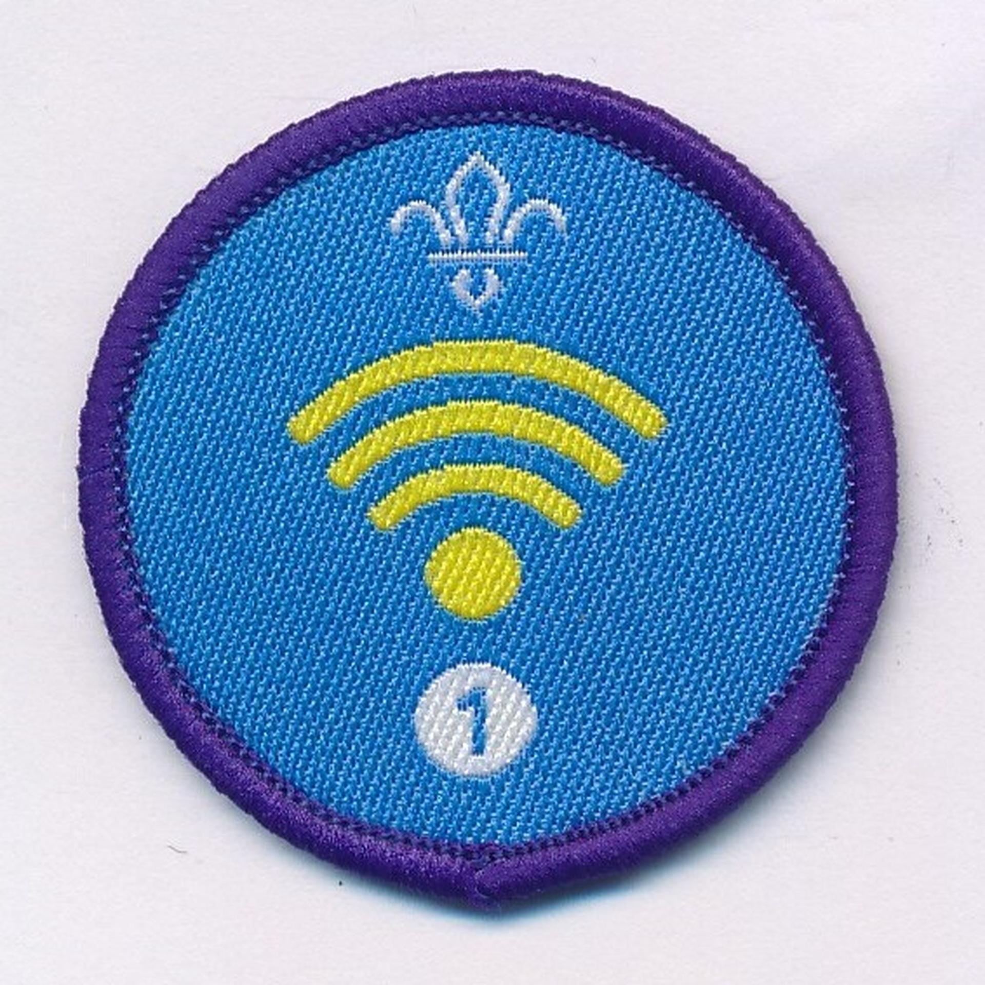 Digital Citizen Staged 1 Activity Badge