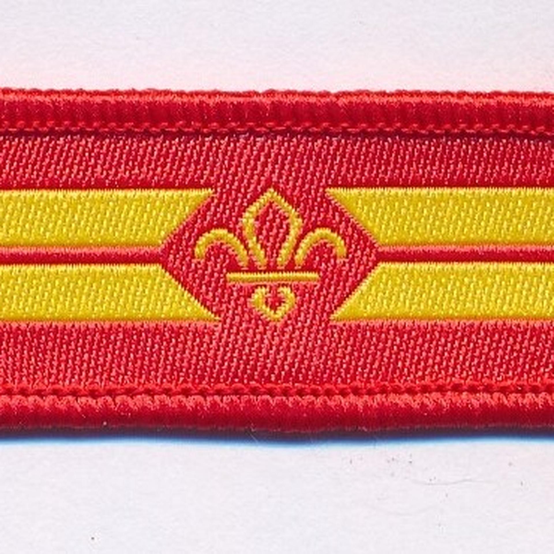 Cub Scout Sixer Badge and Top Tips Leaflet x 1 of Each