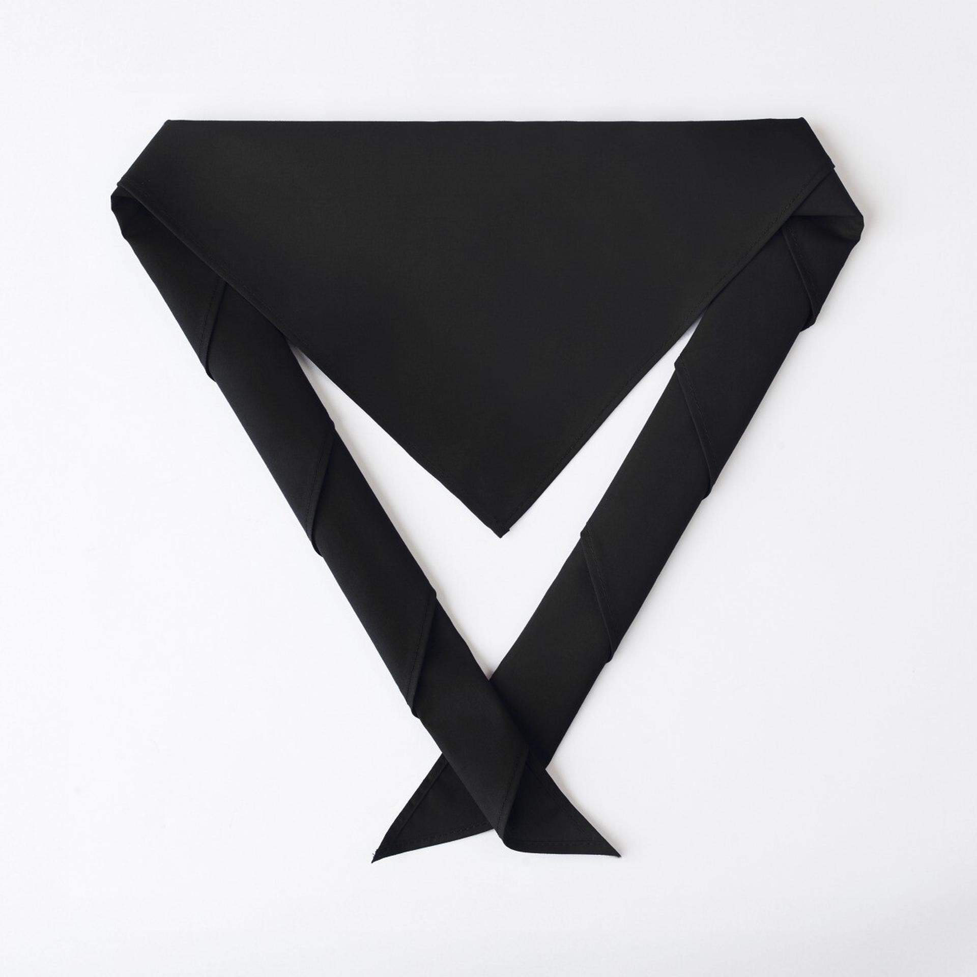 Youth Plain Scout Scarf/Necker