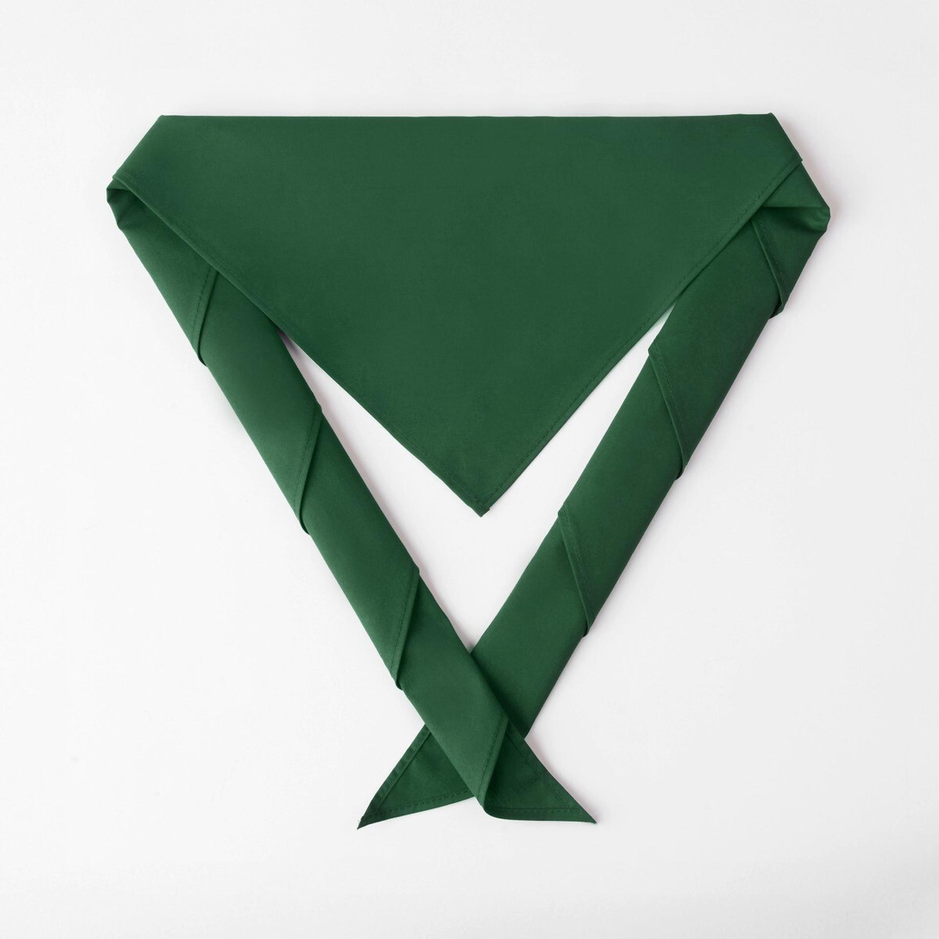 Adult Scouting Plain Scarf/Necker