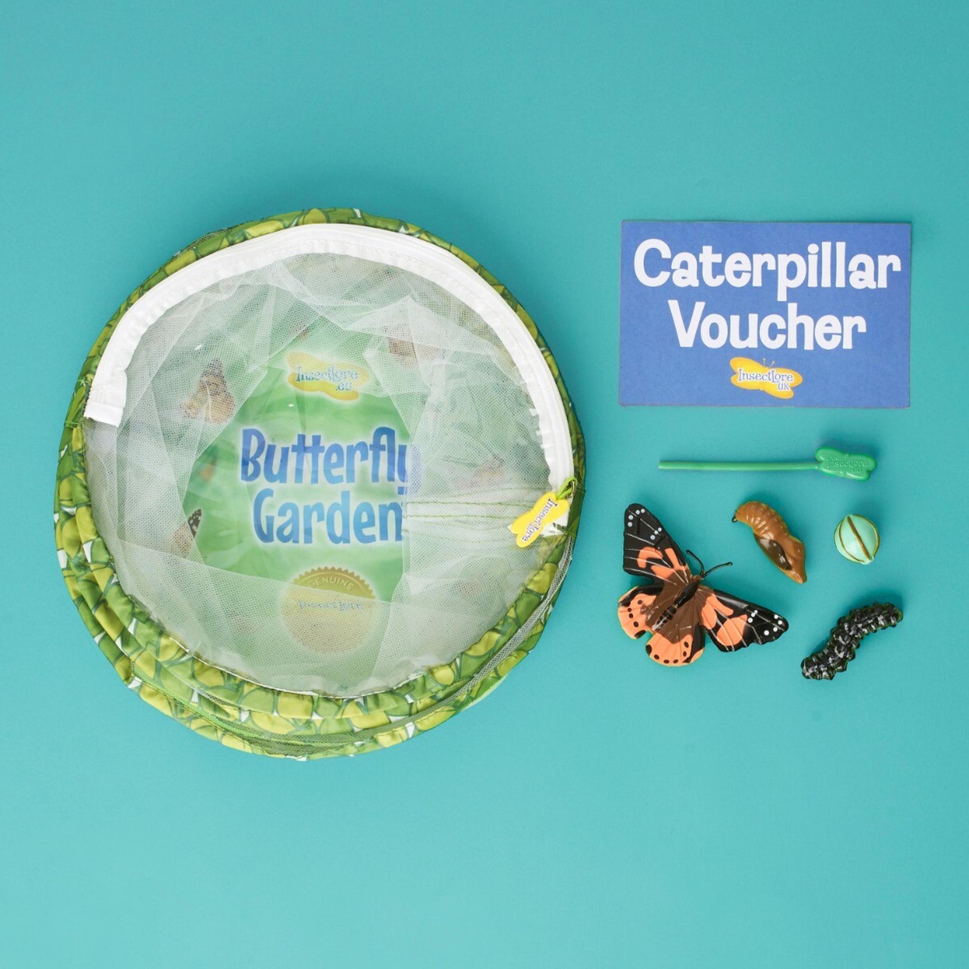 Insect Lore Giant Butterfly Garden | Raise your own Butterflies