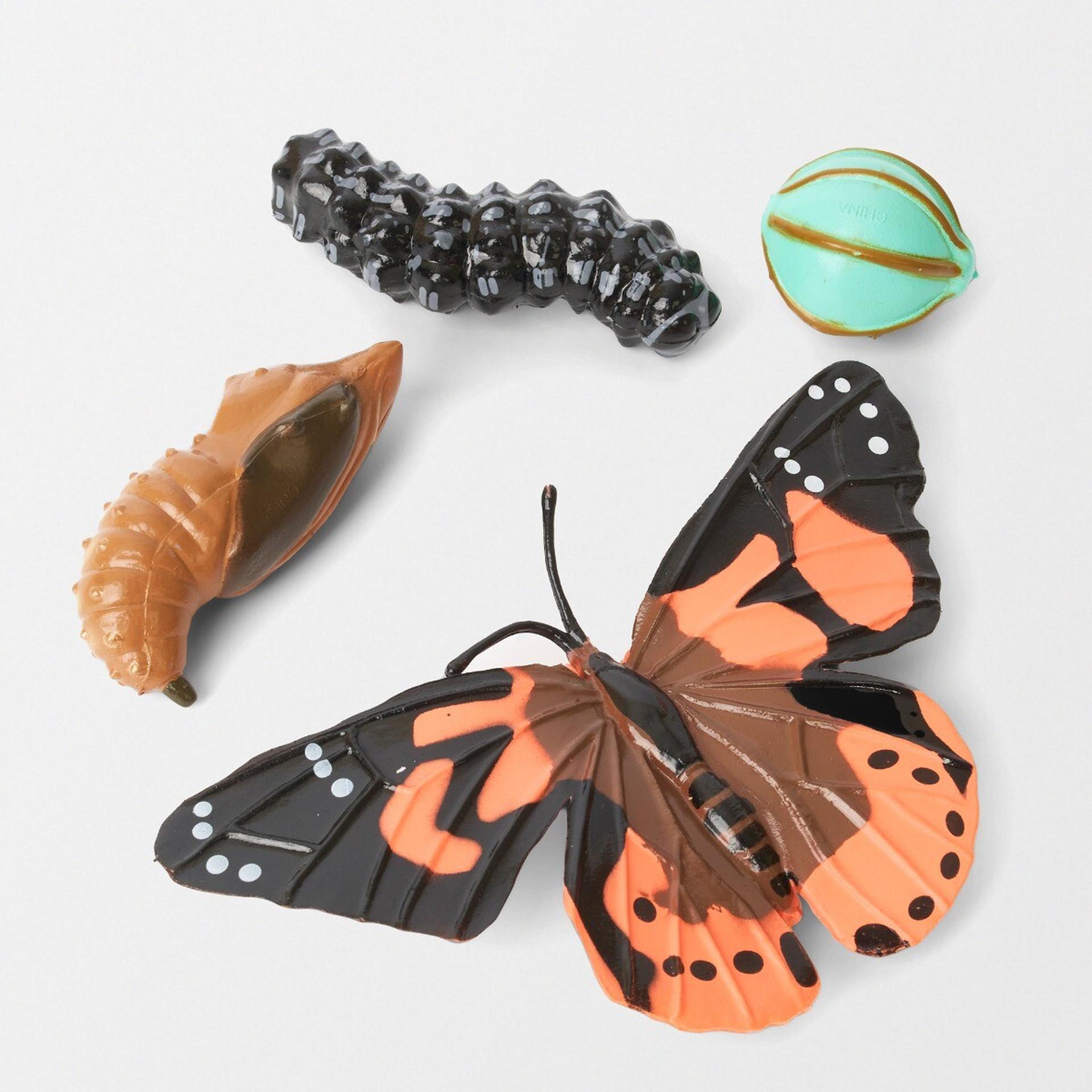 Insect Lore Giant Butterfly Garden | Raise your own Butterflies