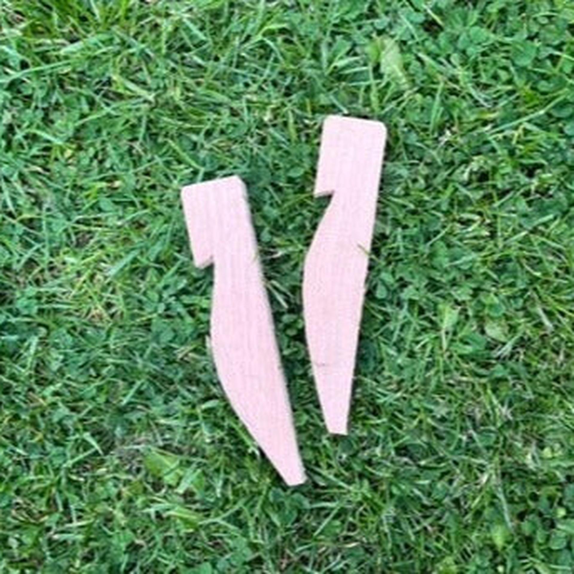 Premium Wooden Tent Pegs 6" / 15cm - Pk of 10 | Camping Accessories ...