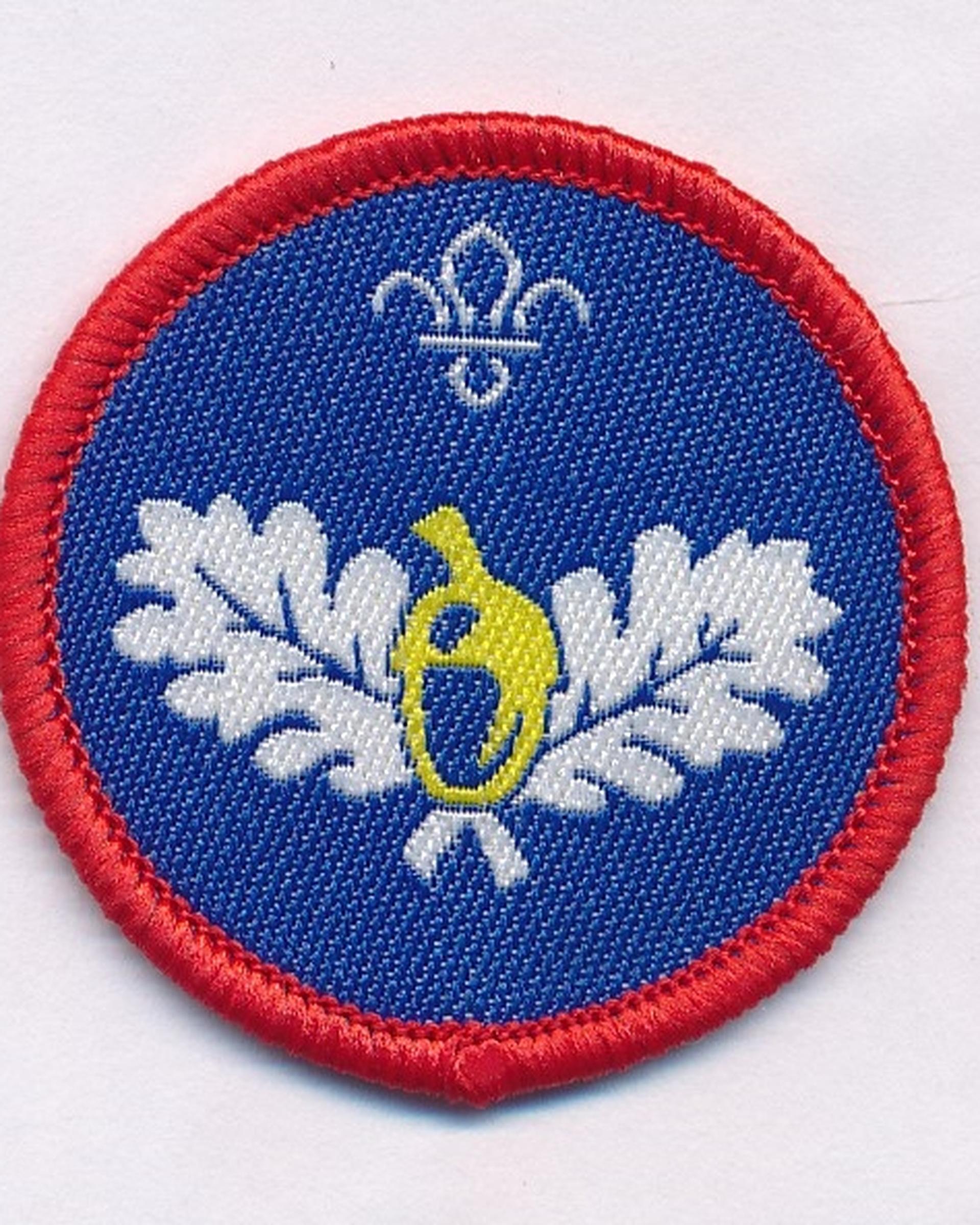 Cub Scout Our World Challenge Award Badge Volunteer Leaders