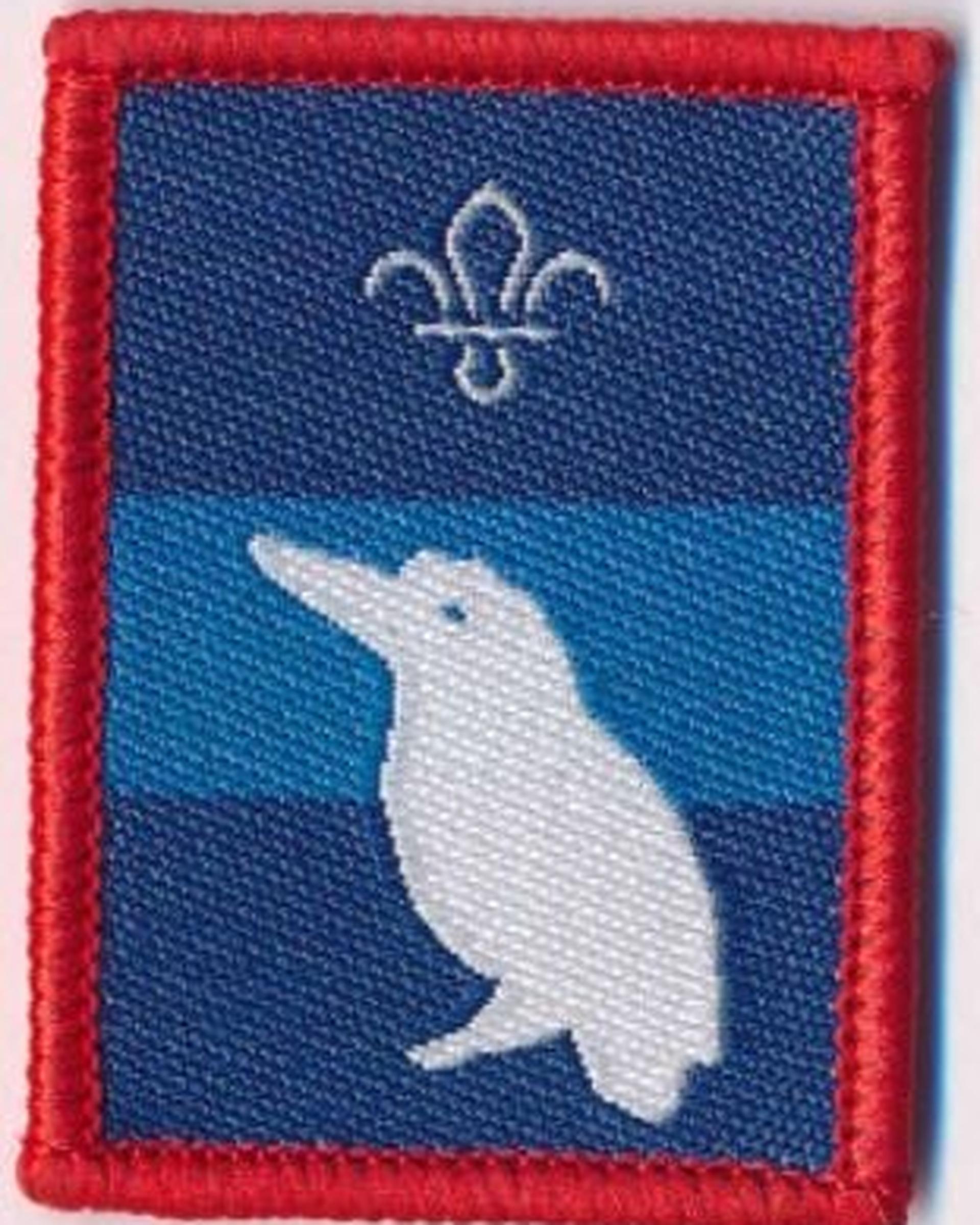 Cub Scout Collector Badge Volunteer Leaders