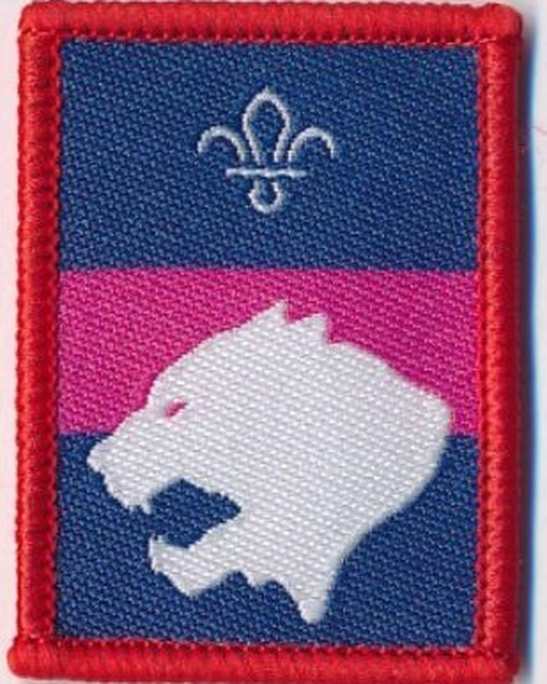 You Shape Squirrel Plan Badge Scouts Sections