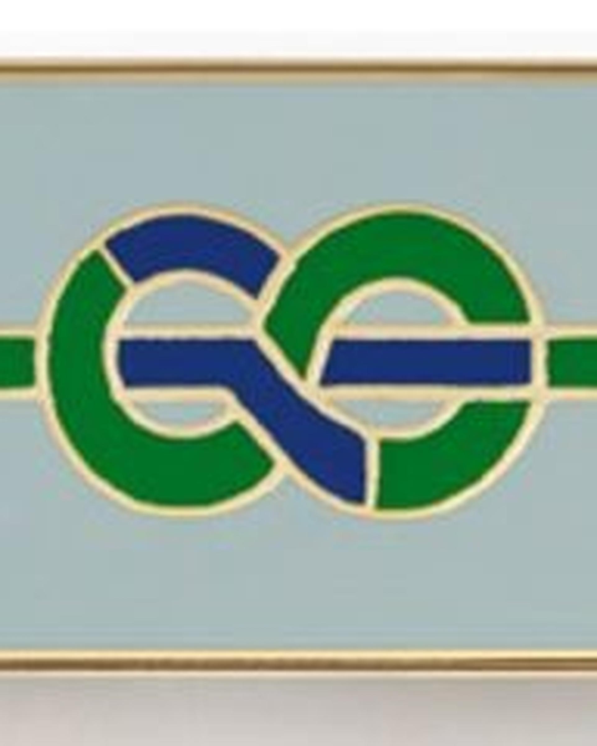 Gilwell Park Scouting Wood Badge 4 Beads Volunteer Leaders