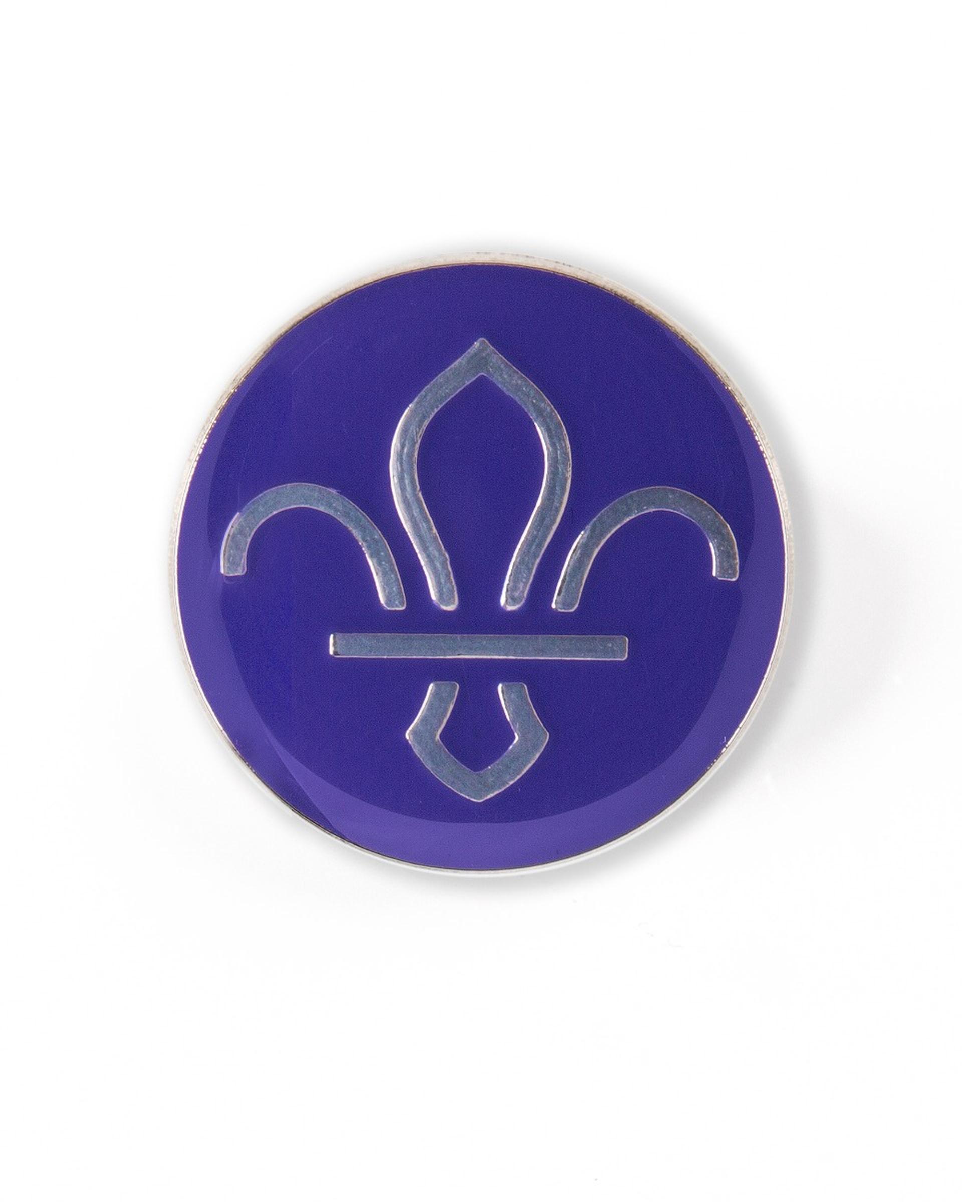 Scouts Pin Badges | Scout Store