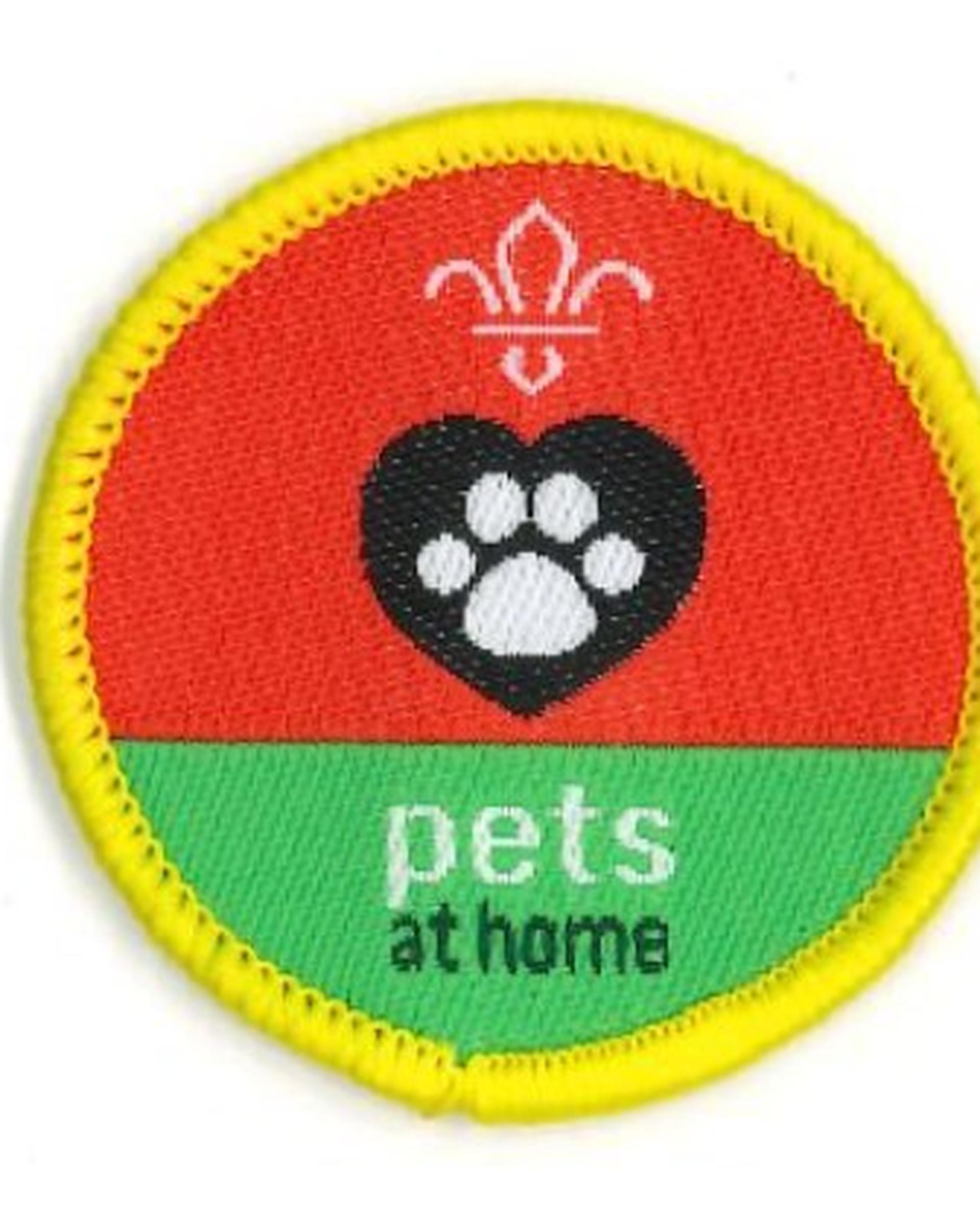 Squirrel Scouts Earth Tribe Award Badge Scouts Sections