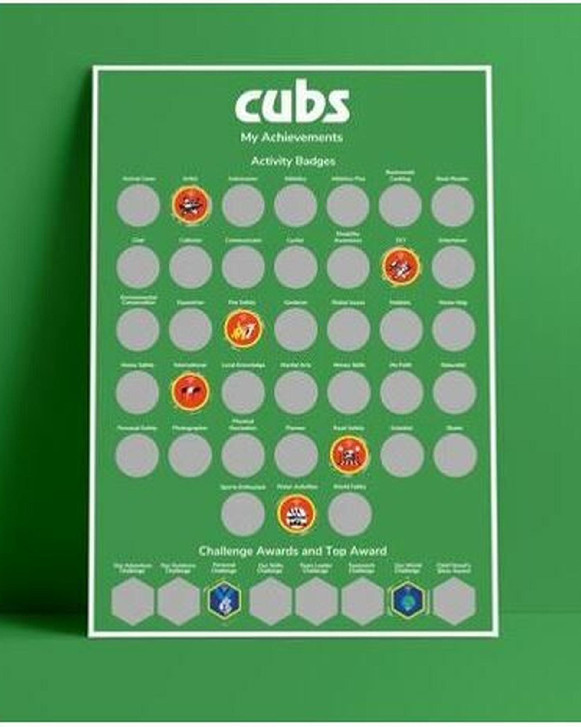 Cubs Record Cards (Pack of 10)