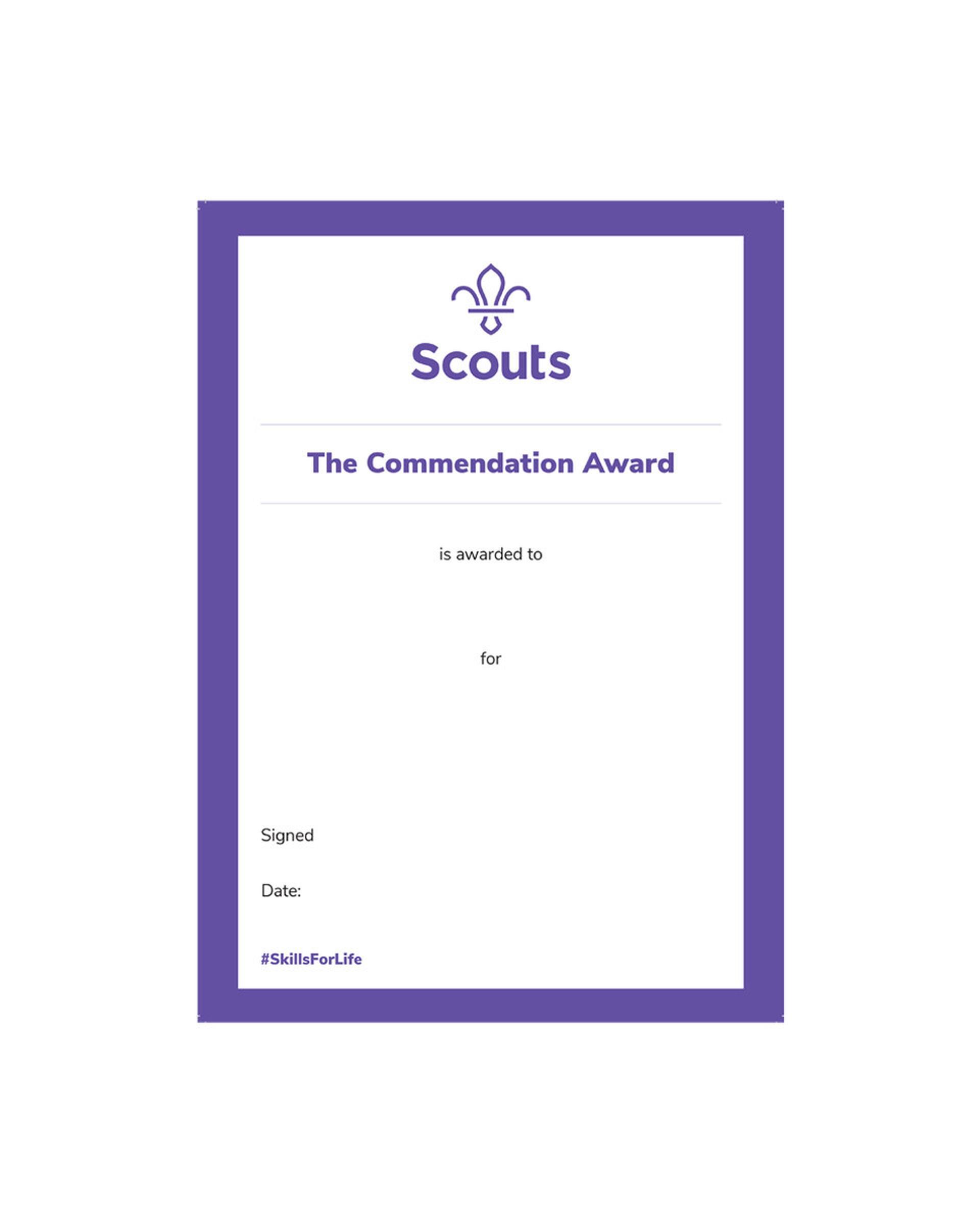 Activity Plus Badge Volunteer Leaders