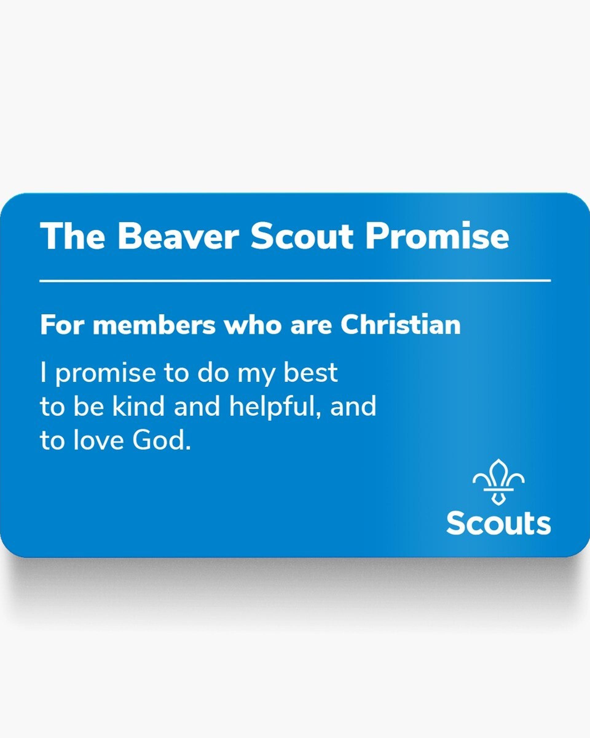 Beaver Scout Collector Activity Badge Volunteer Leaders