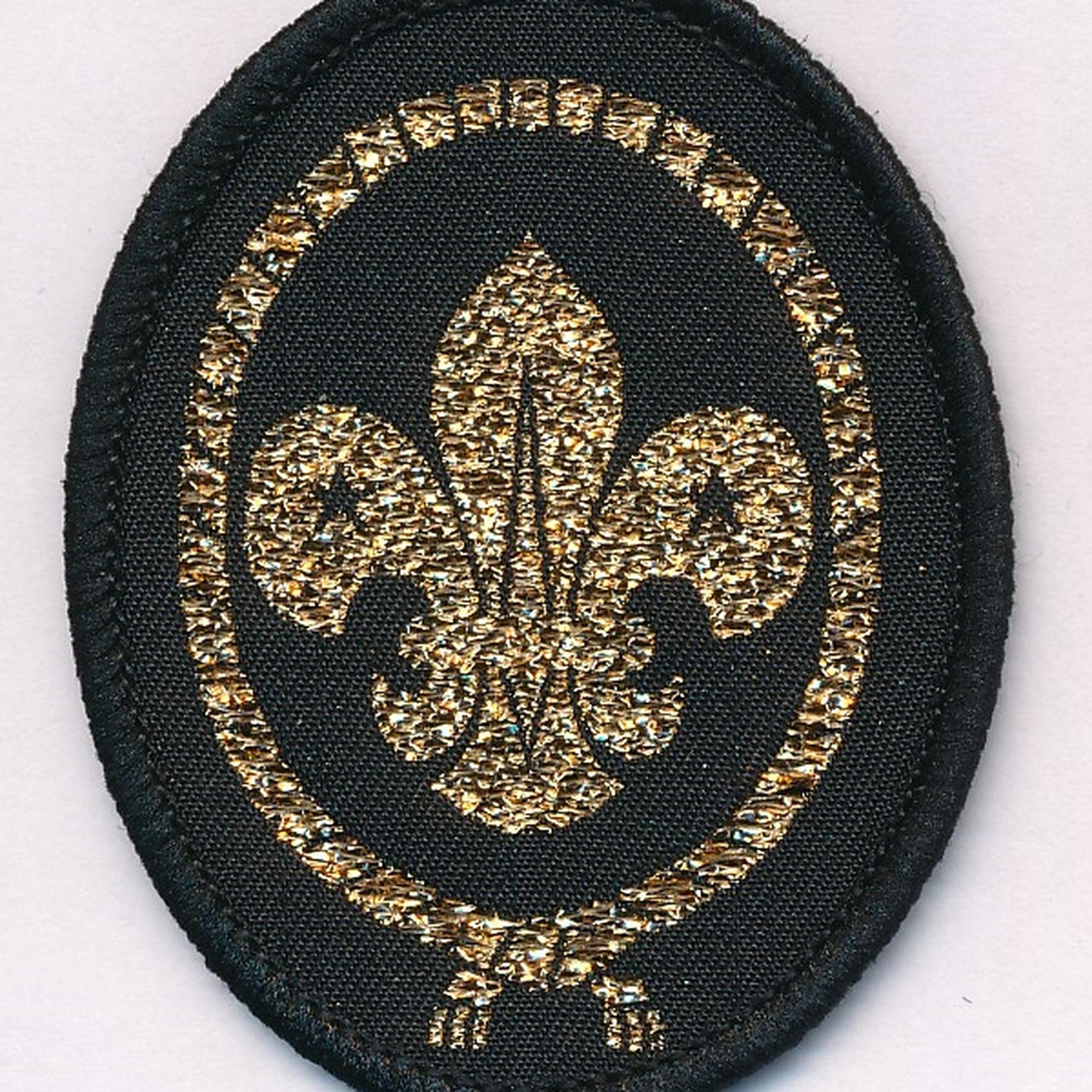 Sea Scout Cap Badge Volunteer Leaders