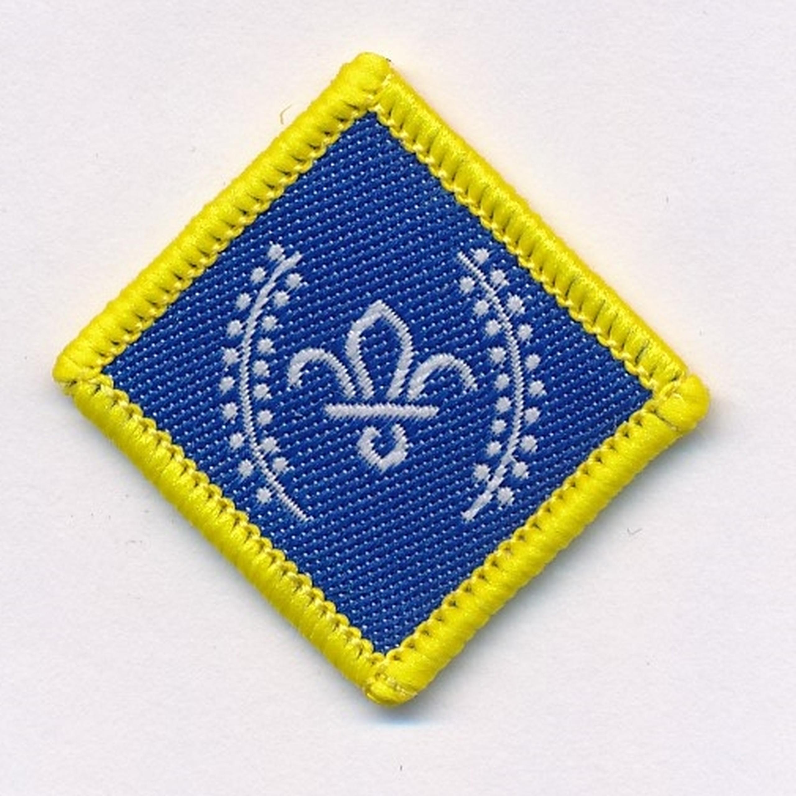 Chief Scouts Platinum Award Badge Volunteer Leaders
