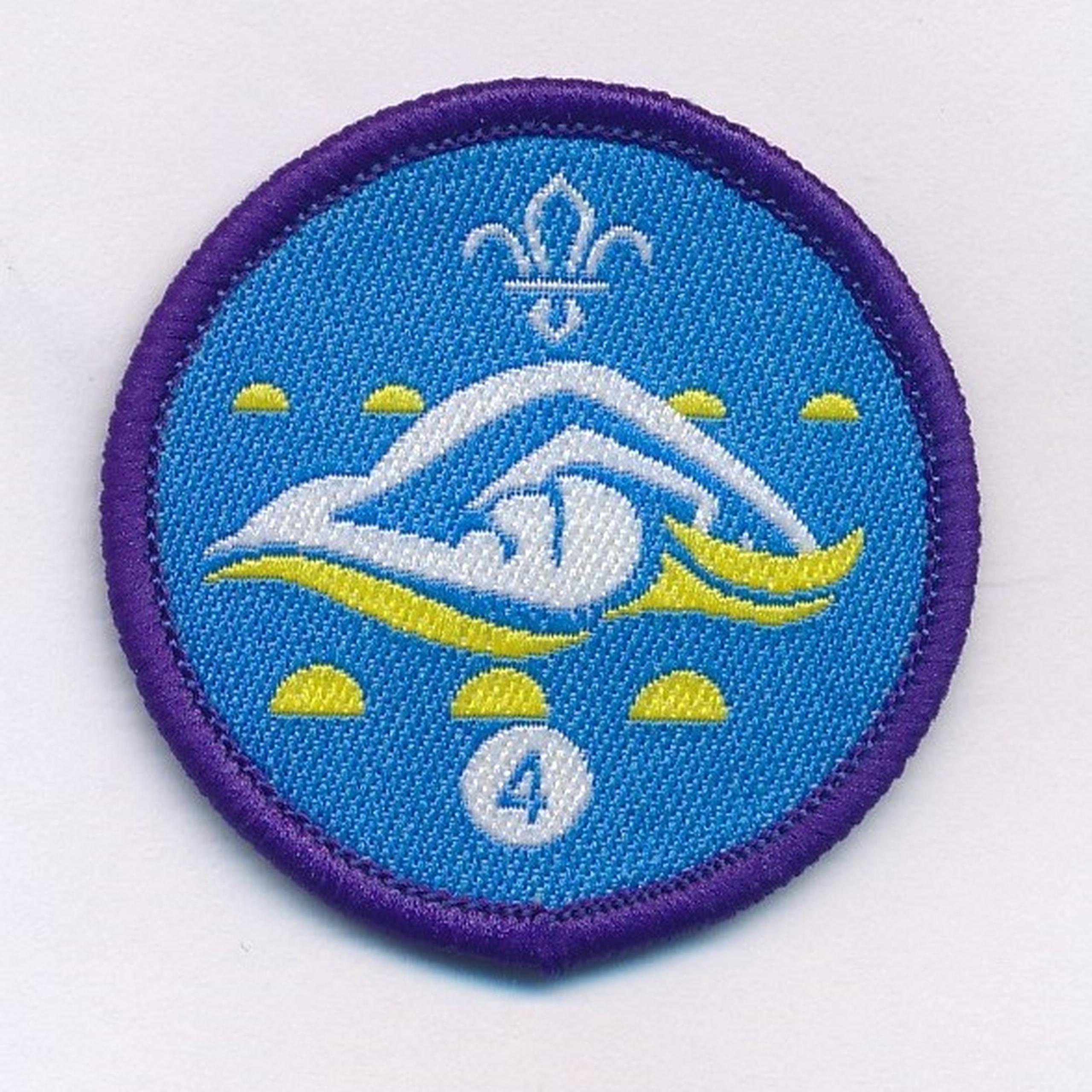 Activity Scout Swimmer Stage 4 Badge Volunteer Leaders