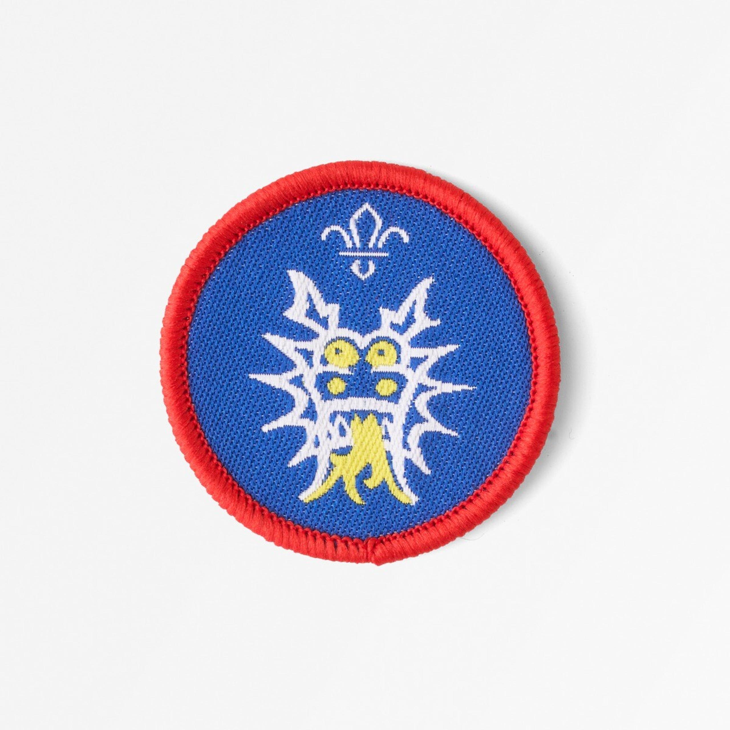 Scouts Dragon Boating Activity Badge