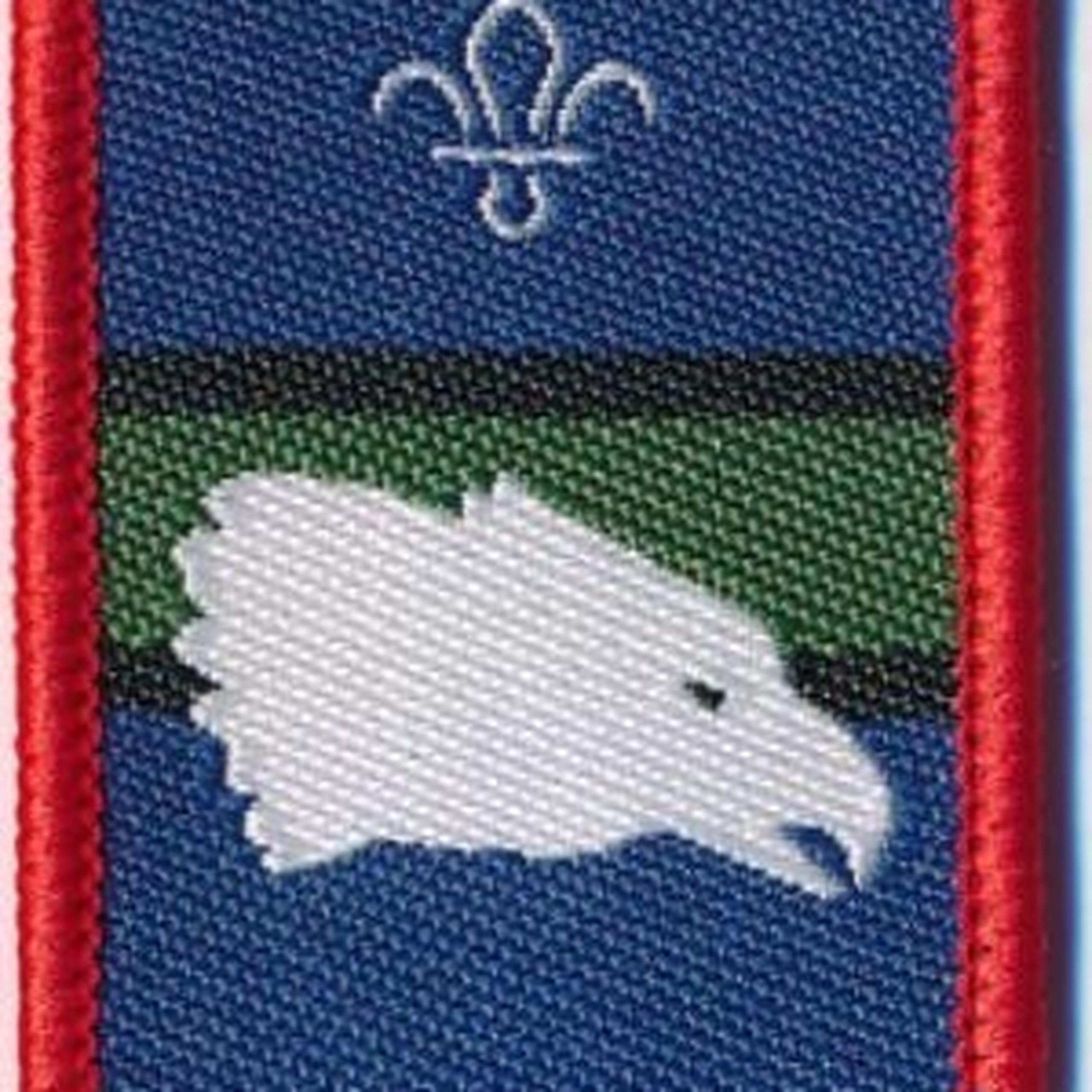 Scout Patrol Badge Eagle Volunteer Leaders