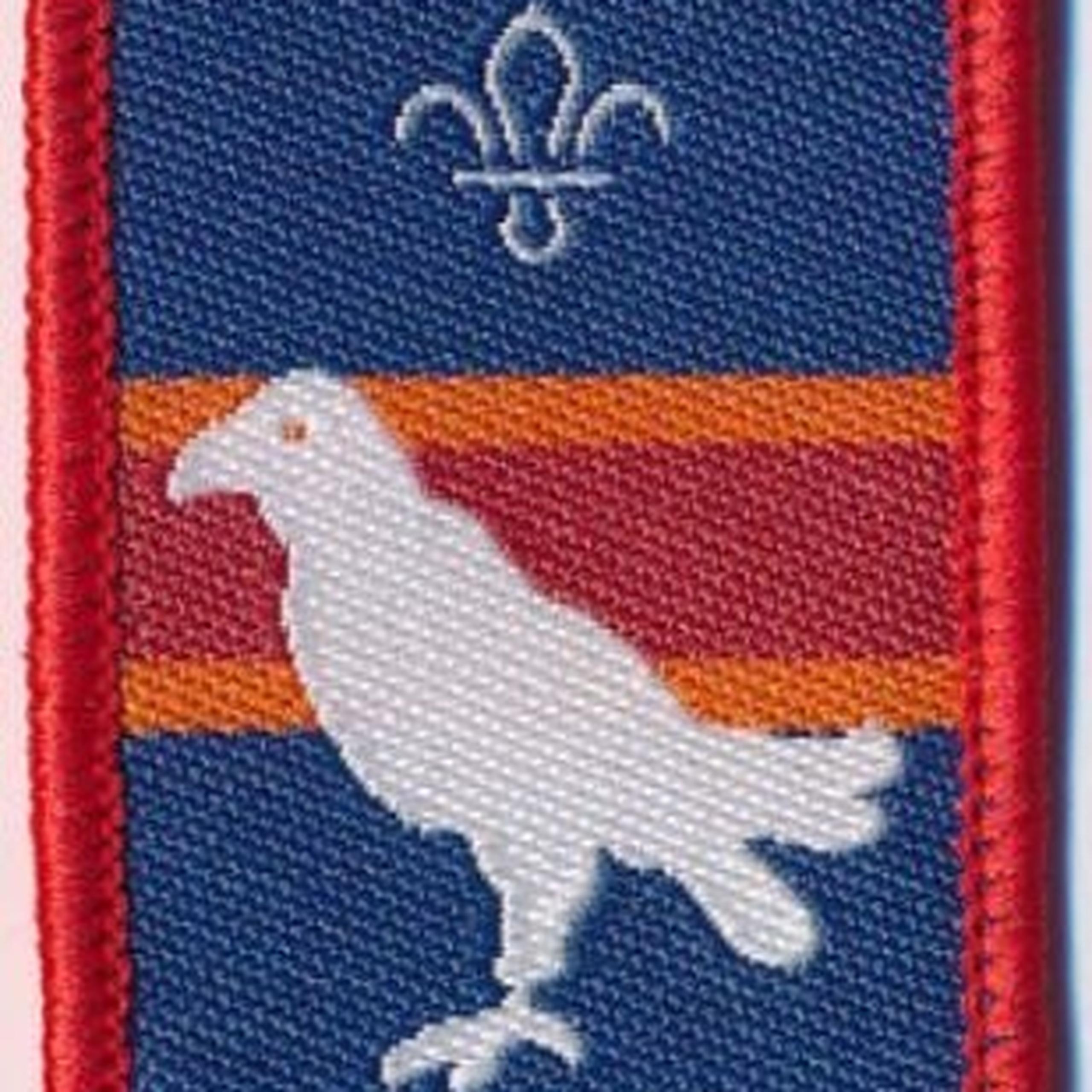 Scout Patrol Badge Falcon Volunteer Leaders