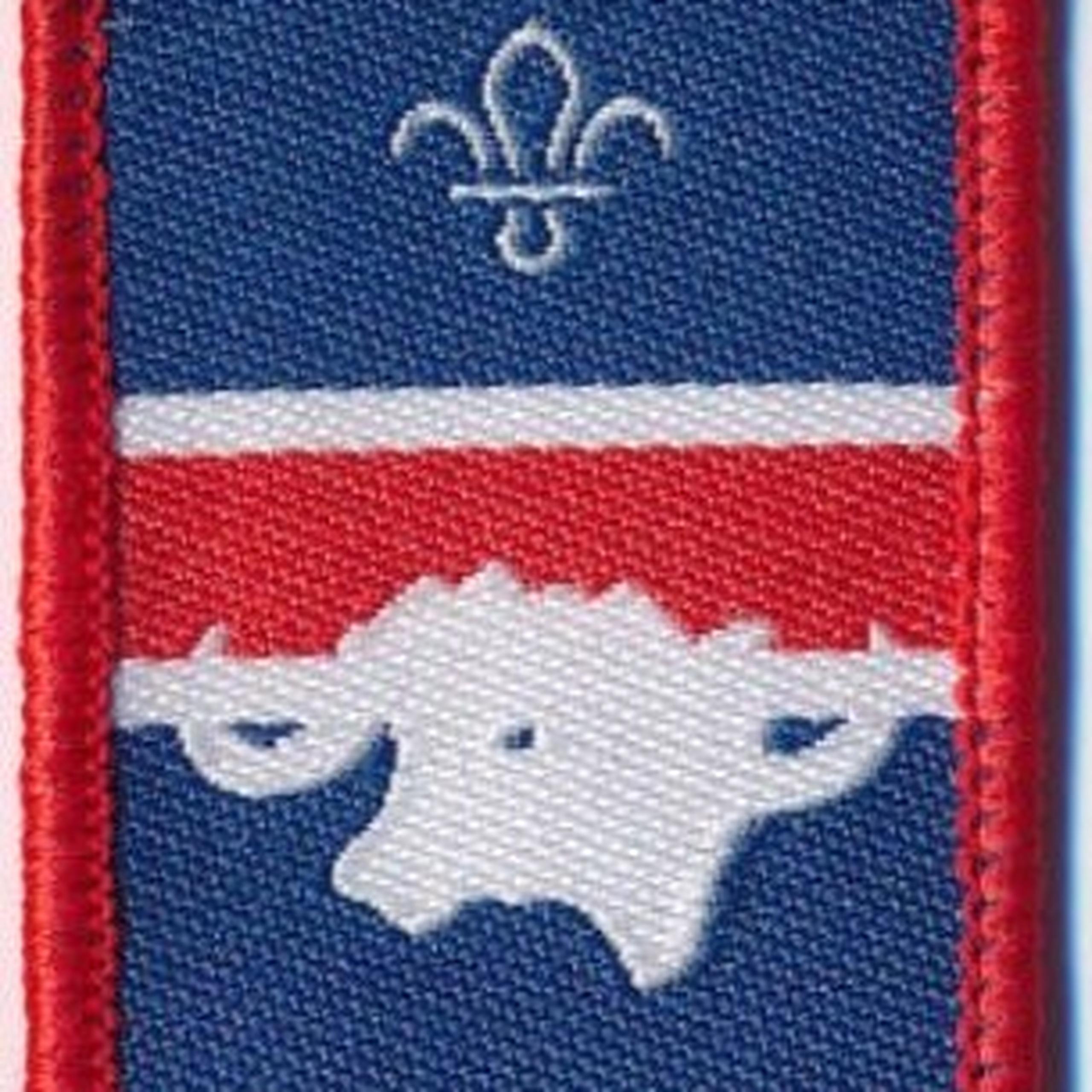 Scout Patrol Badge Buffalo Volunteer Leaders