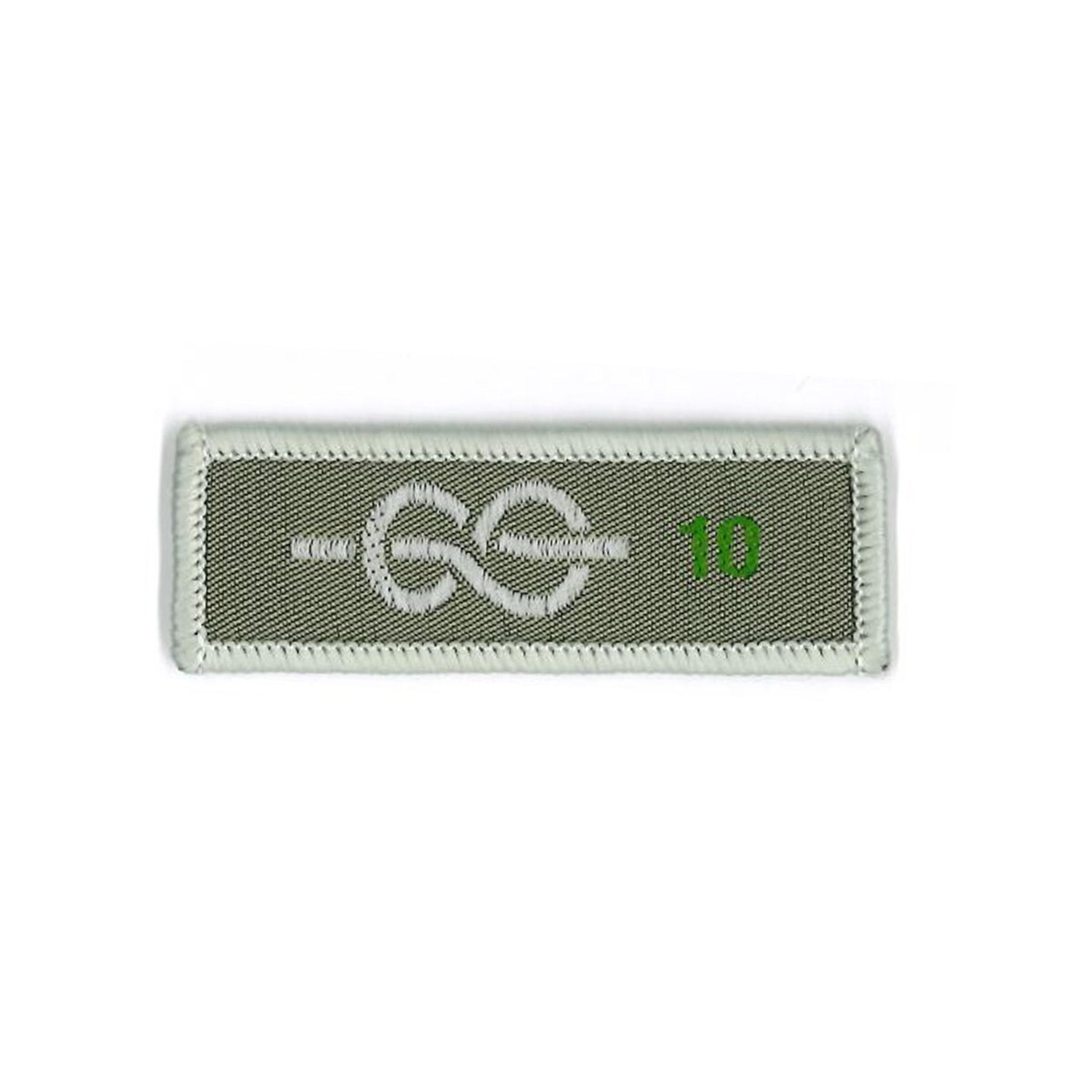 10 Yrs Chief Scout's Service Award Cloth Badge Exclusions