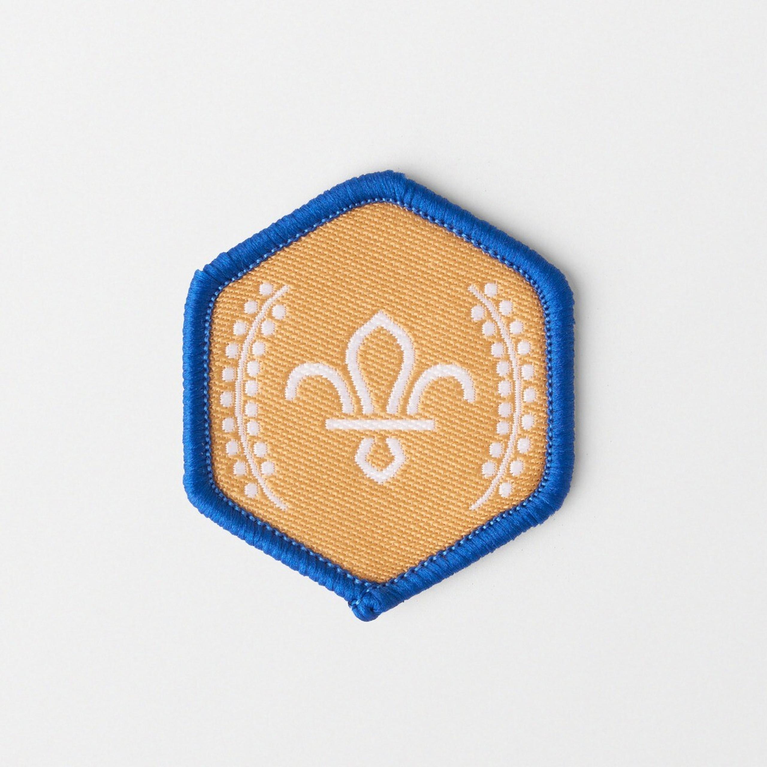 Beaver Scouts Scouts Chief Scouts's Bronze Award Badge