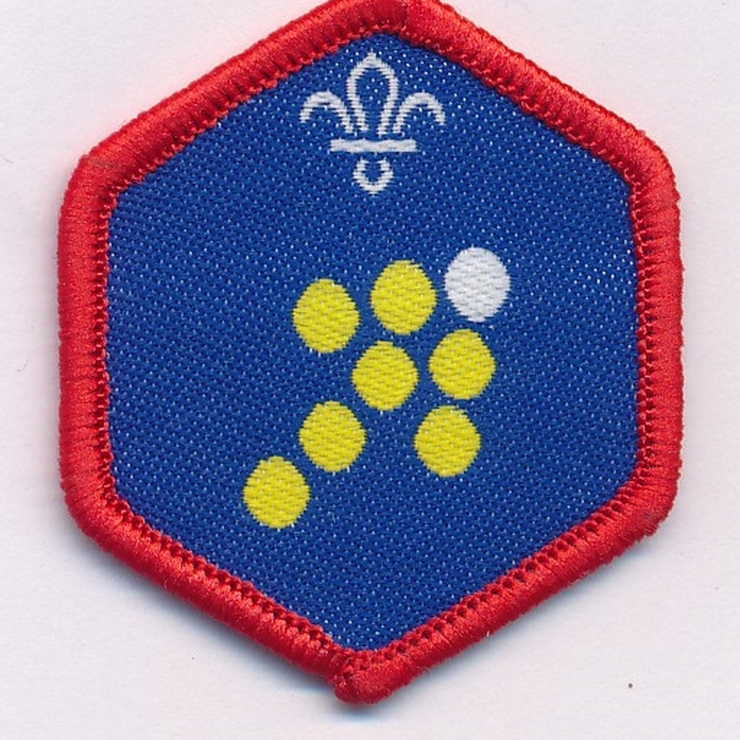 Scouts Team Leader Challenge Award Badge