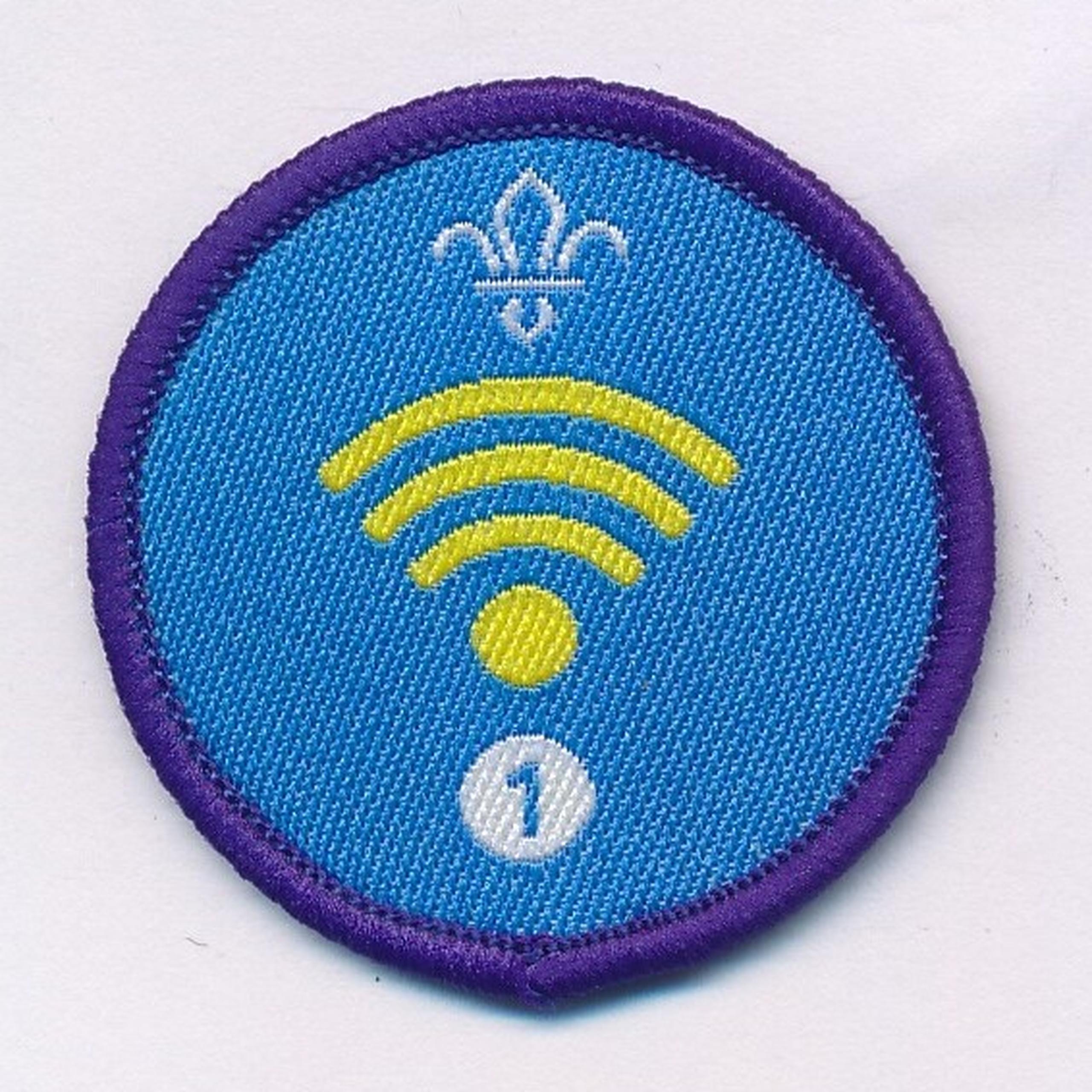 Digital Citizen Staged 1 Activity Badge