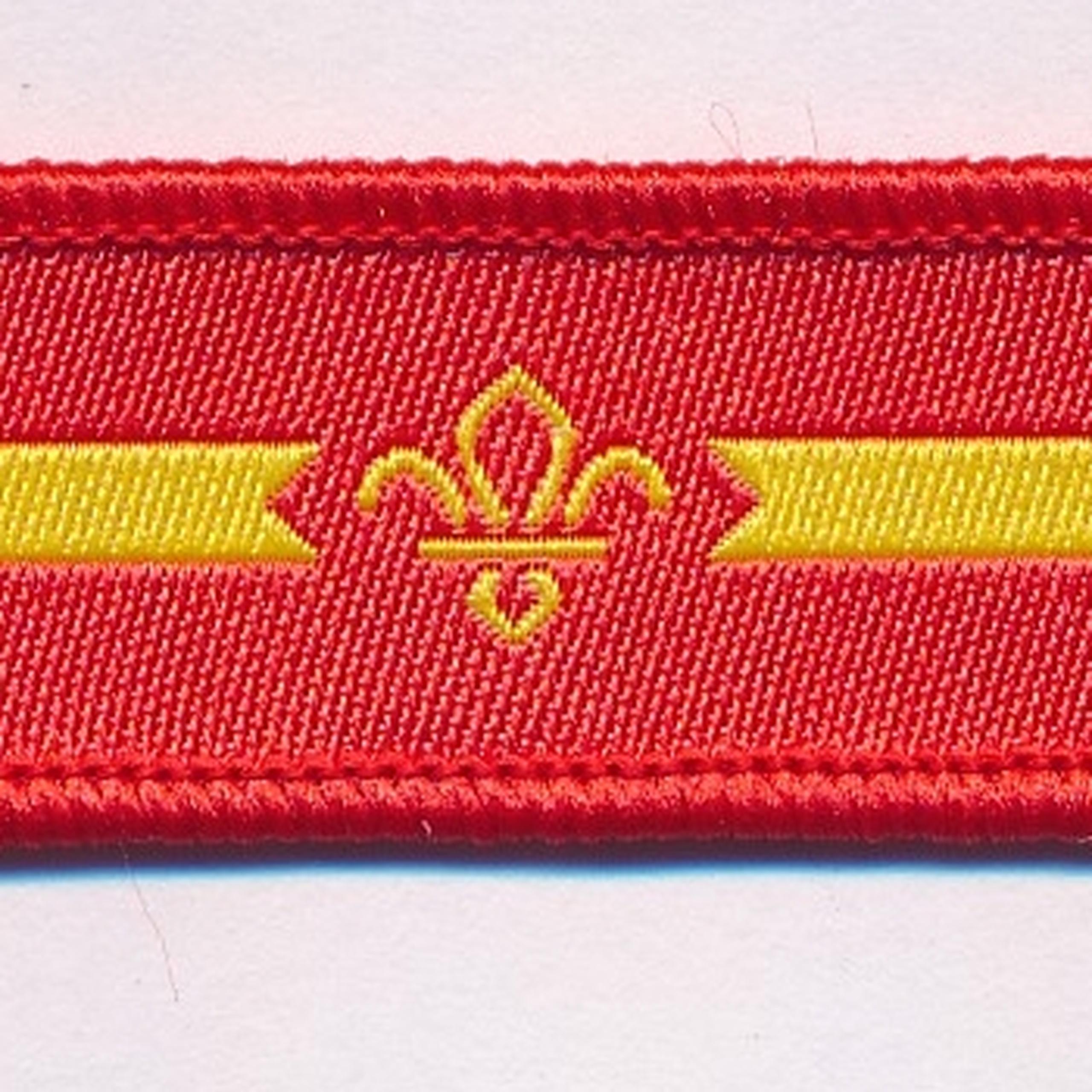 Cub Scouts Seconder Badge Volunteer Leaders