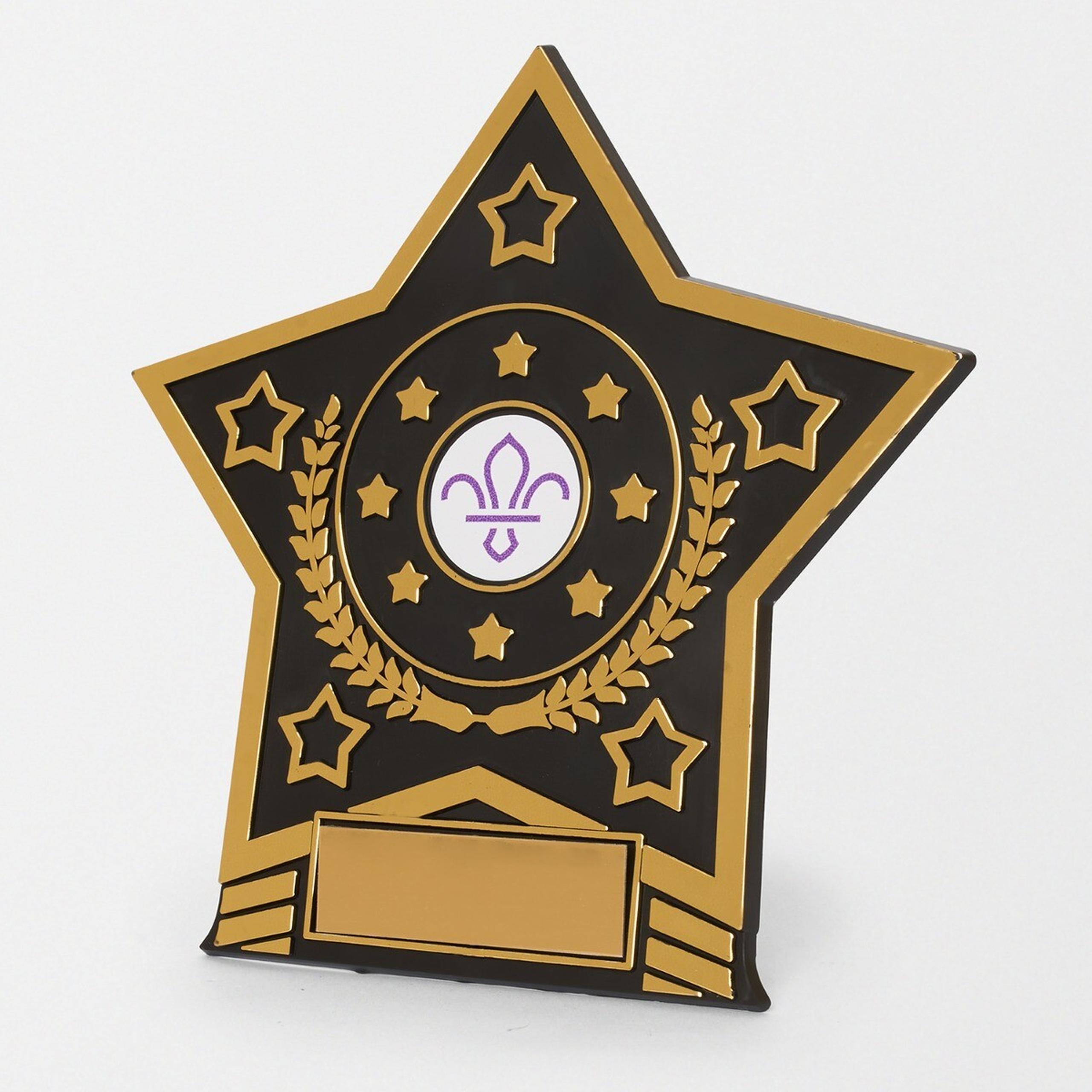 Star Trophy with Fleur de Lis Scouts Logo 14cm