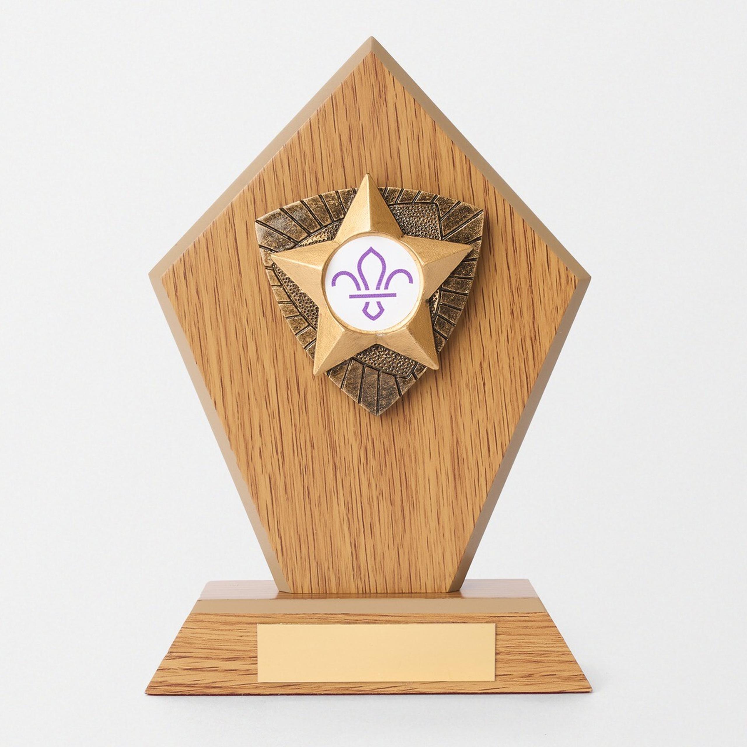 Wooden Star Award Trophy with Scouts Logo 17.5cm