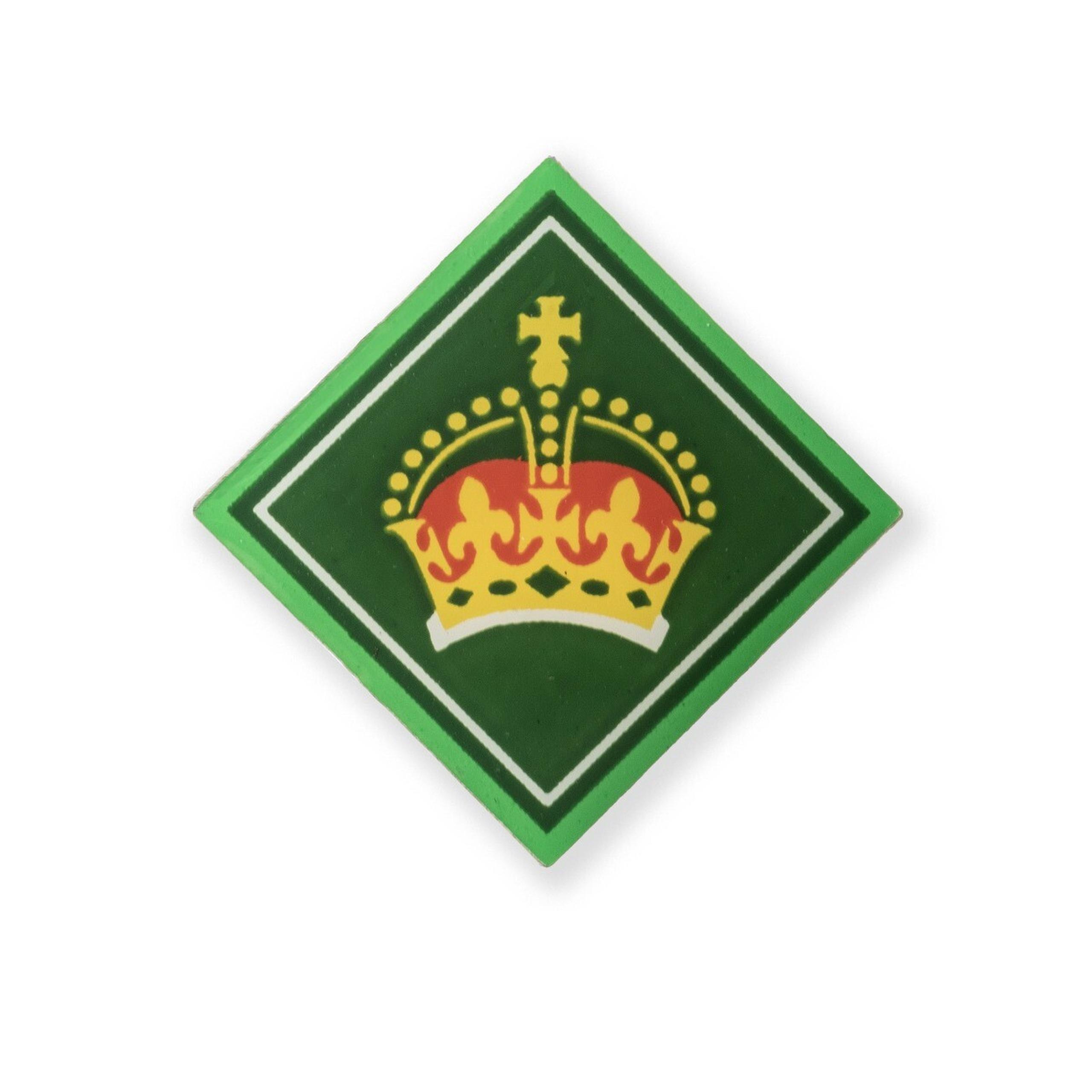 King's Scout Award Pin Badge (KSA) Exclusions