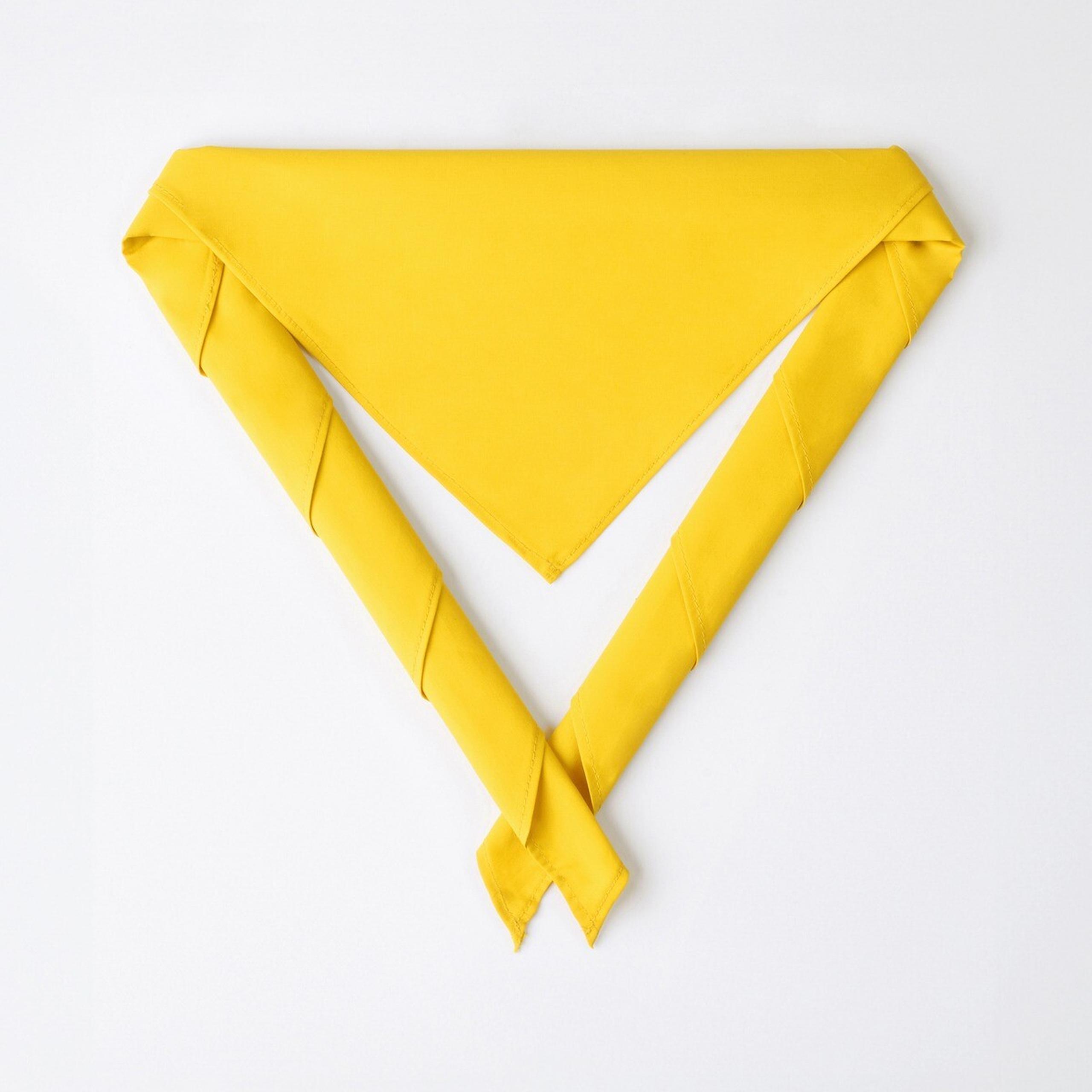 Adult Scouting Plain Scarf/Necker