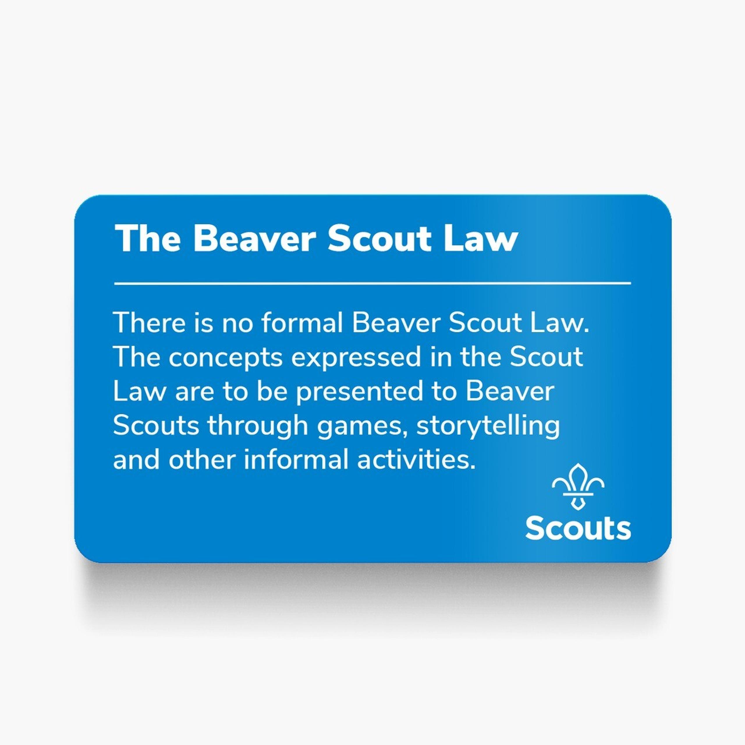 Beaver Scouts Promise Card - Humanist Mid-Season Sale