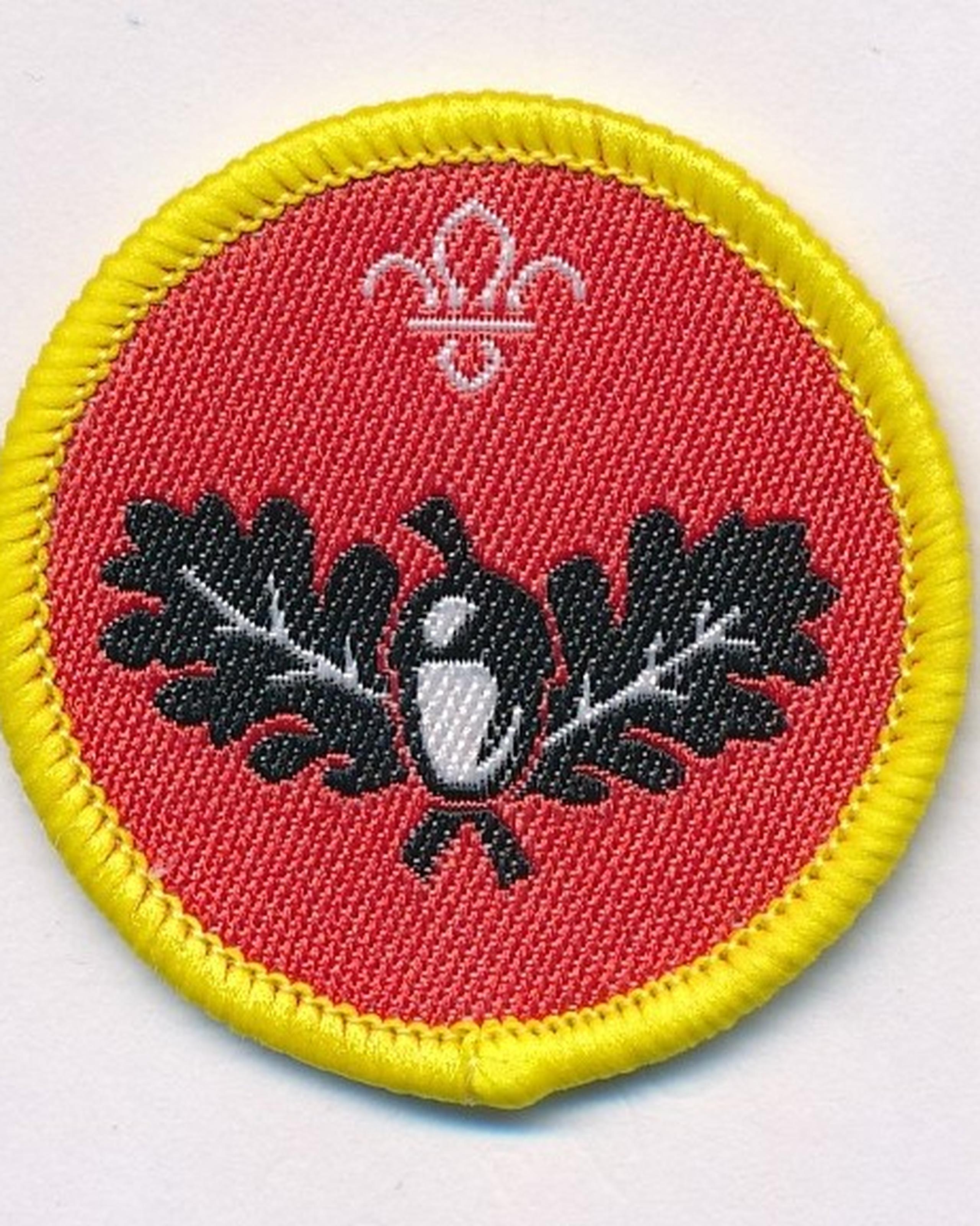 Squirrel Scouts Hoodie for Adults | Squirrels Clothing Scouts Sections