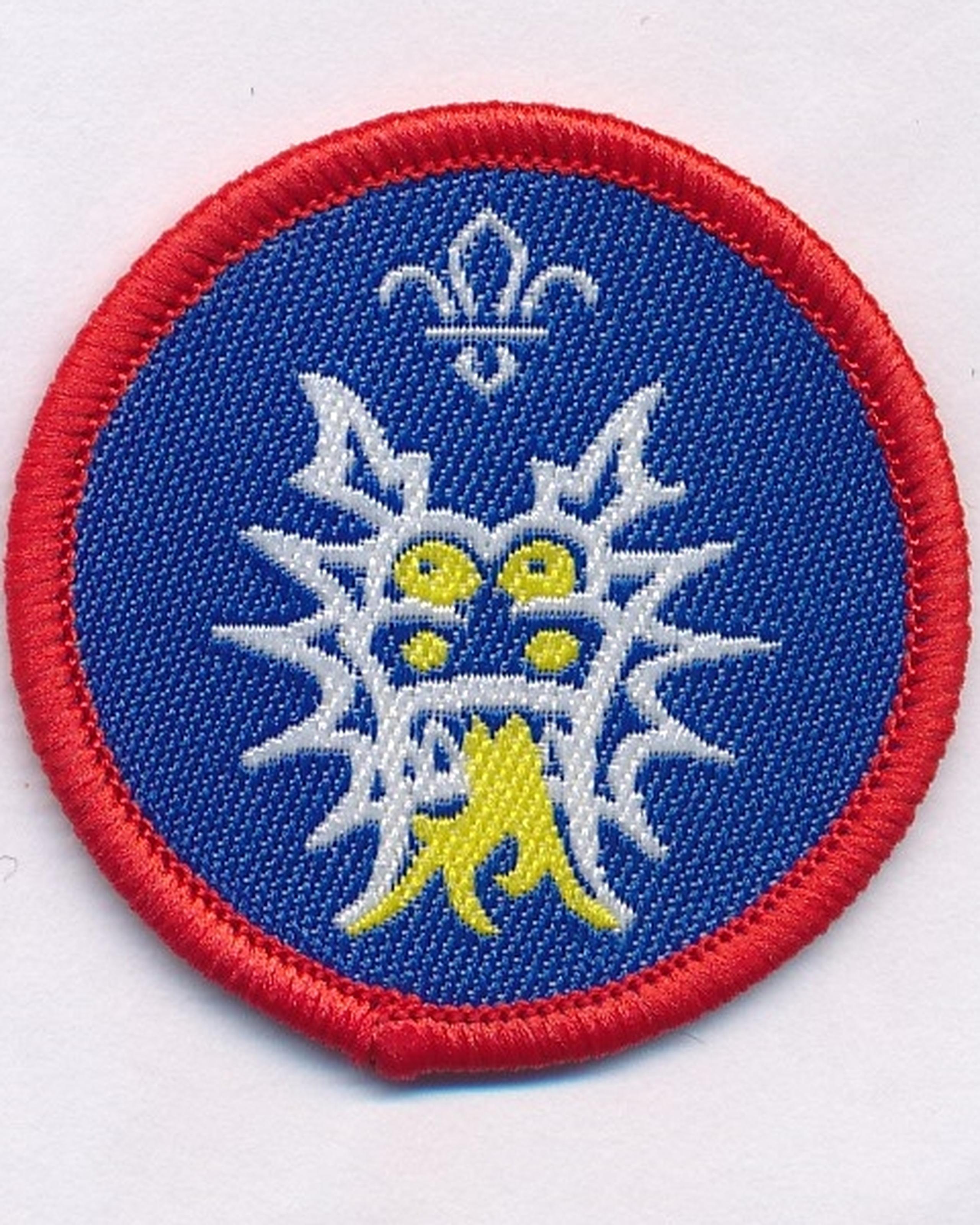 Beaver Scout Sports Activity Badge
