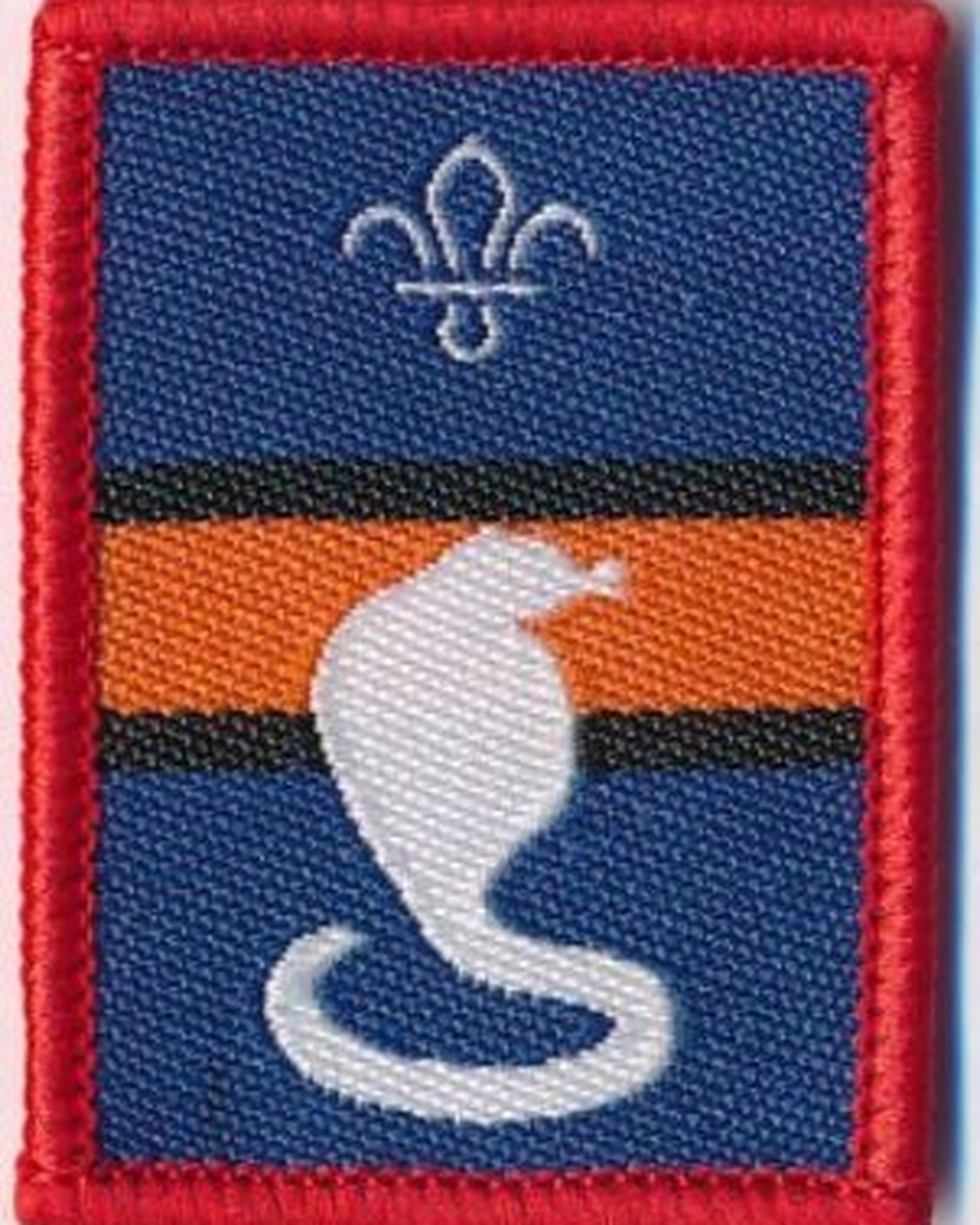 Disney Confidence Squirrel Scouts Fun Scouts Sections