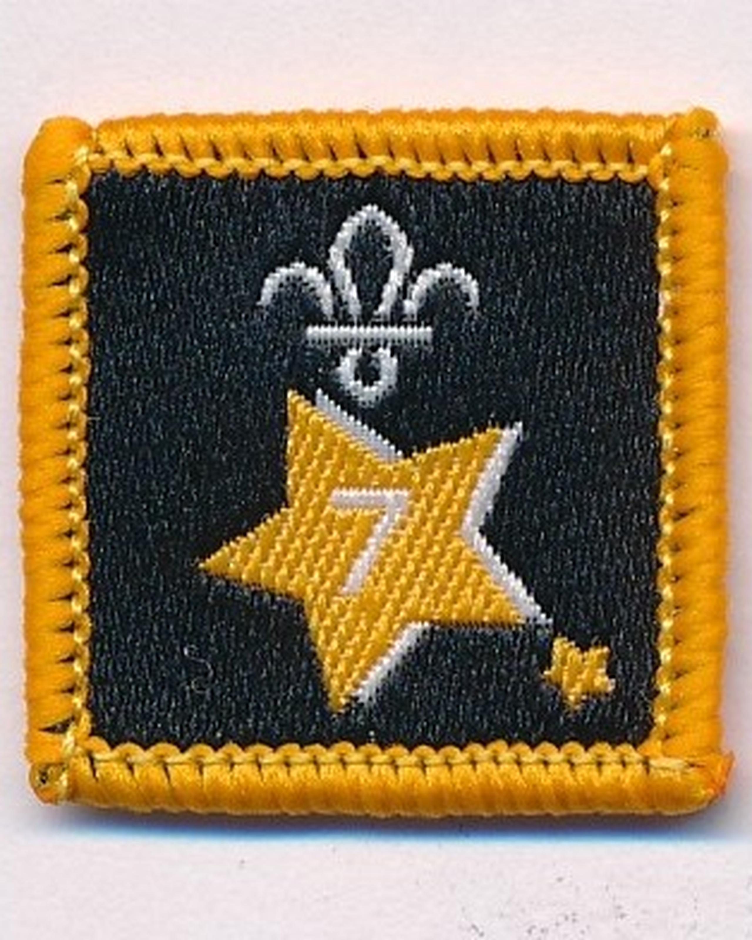 Hikes Away Badge Stage 5 (Go Outdoors) Volunteer Leaders