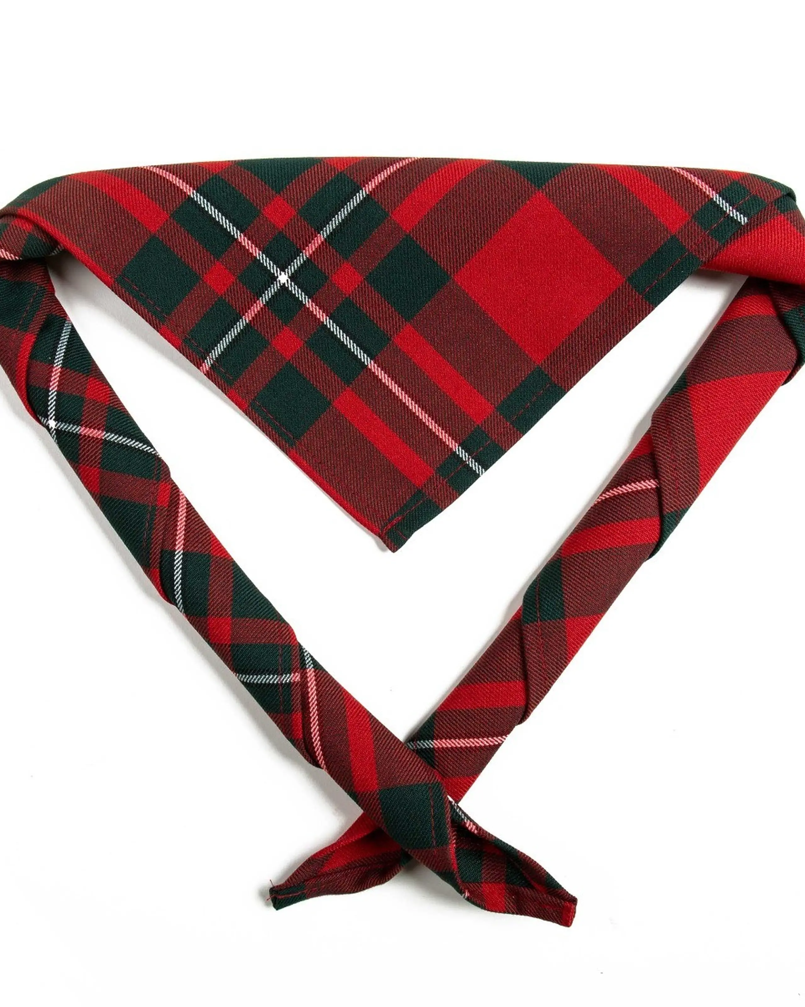 Squirrel Scouts Moving On Badge Volunteer Leaders