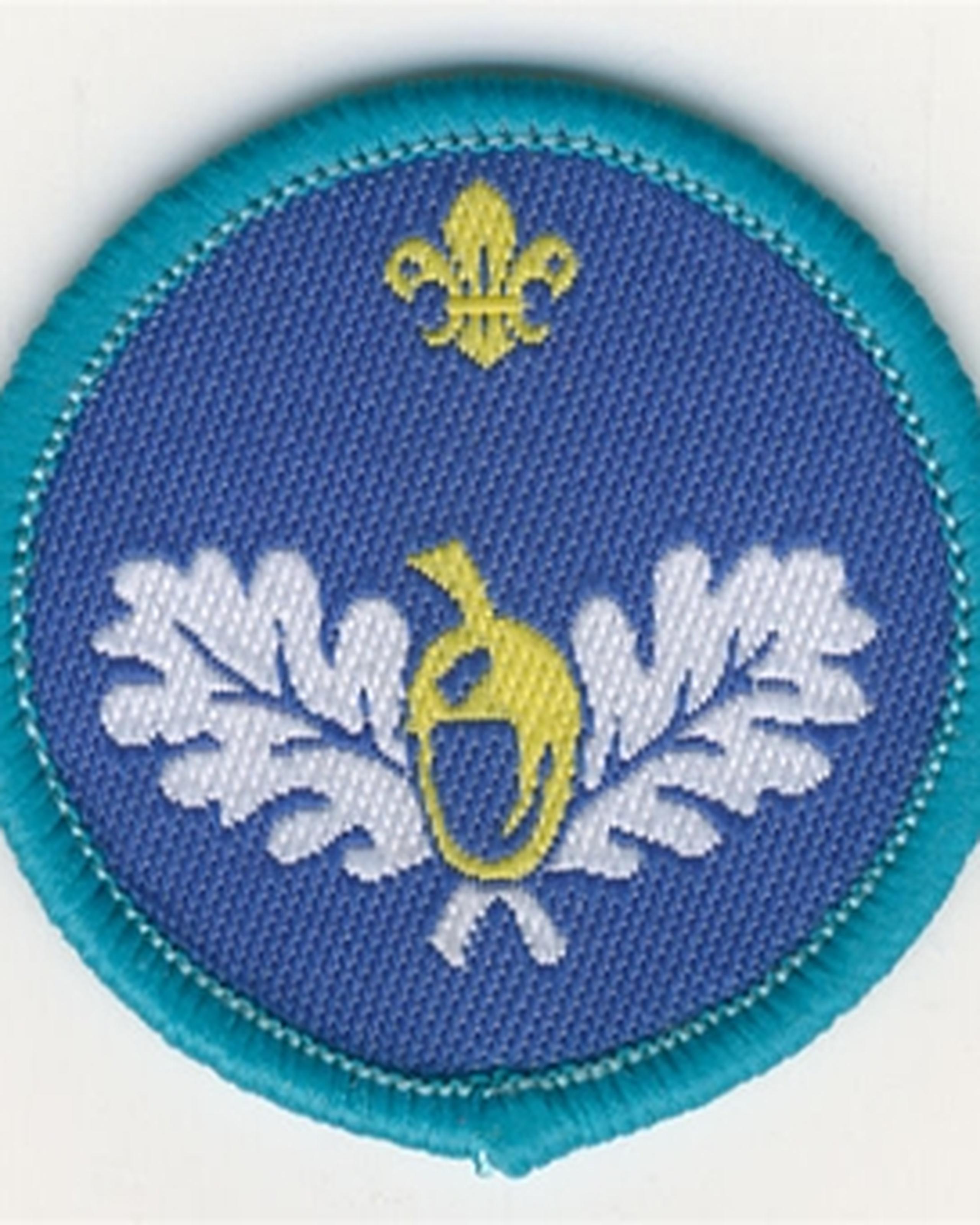 Activity Nights Away Badge Stage 15 (Go Outdoors) Volunteer Leaders
