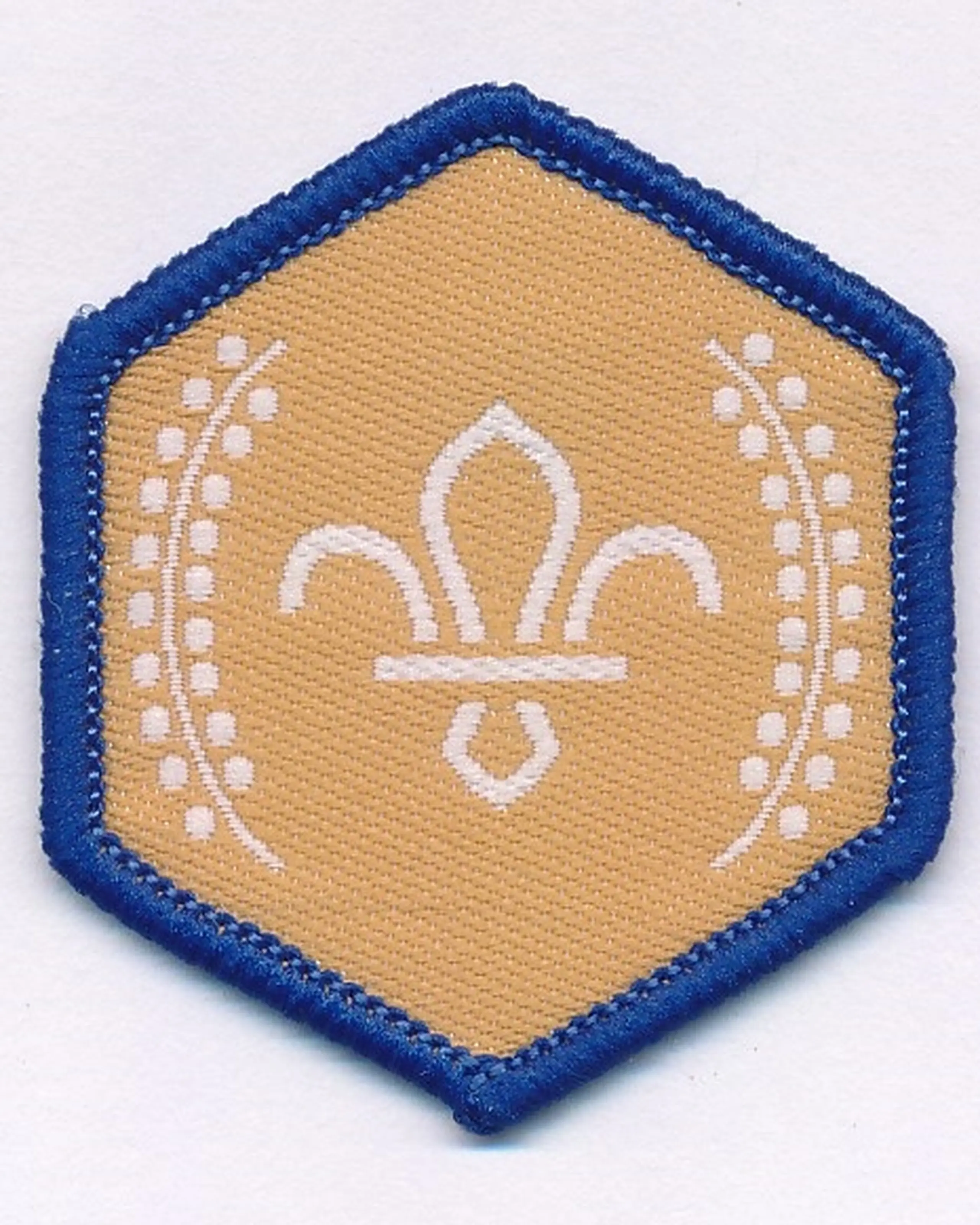 Scouts Badges | Scout Store