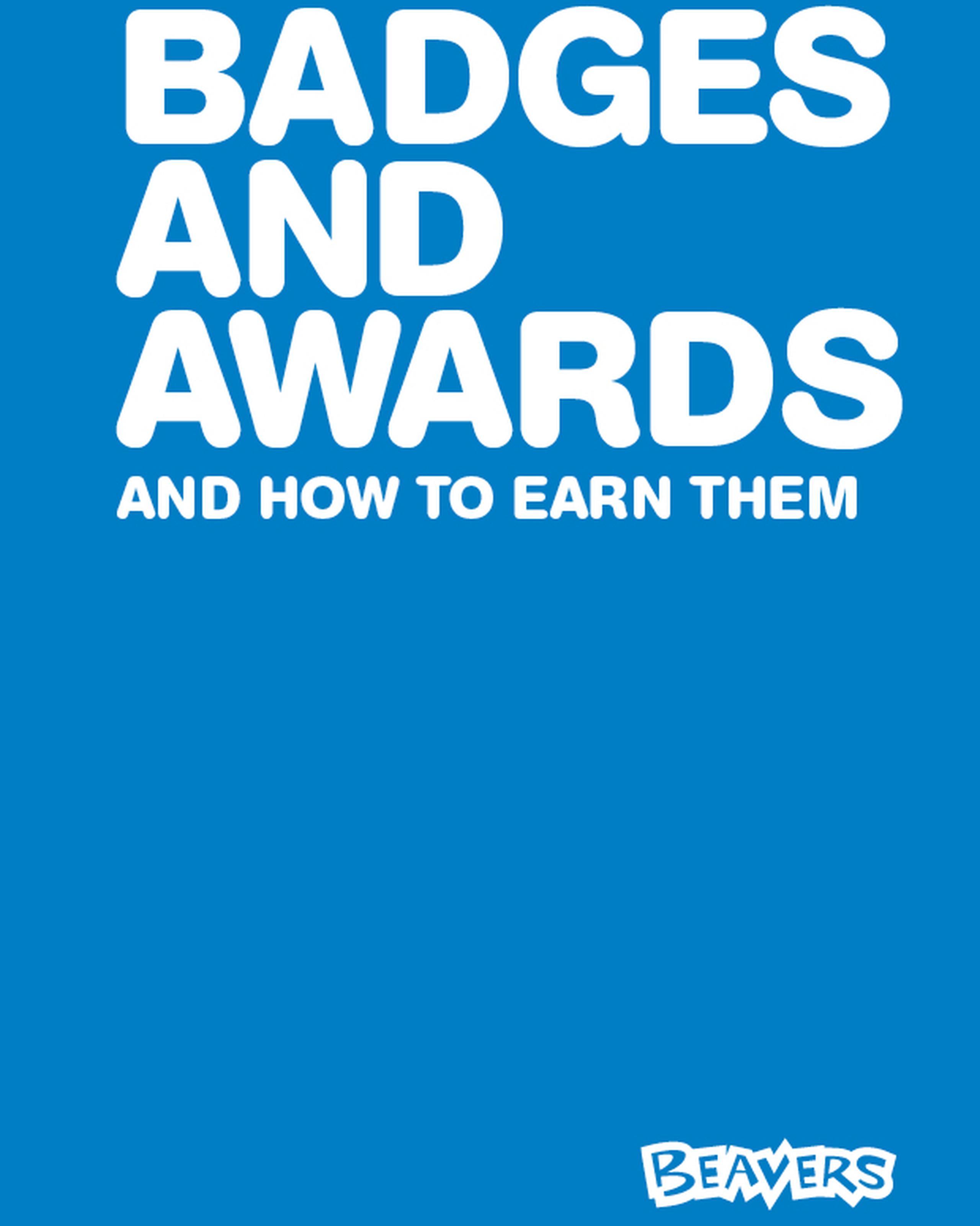 Beaver Scouts Scouts My Skills Challenge Award Badge Volunteer Leaders