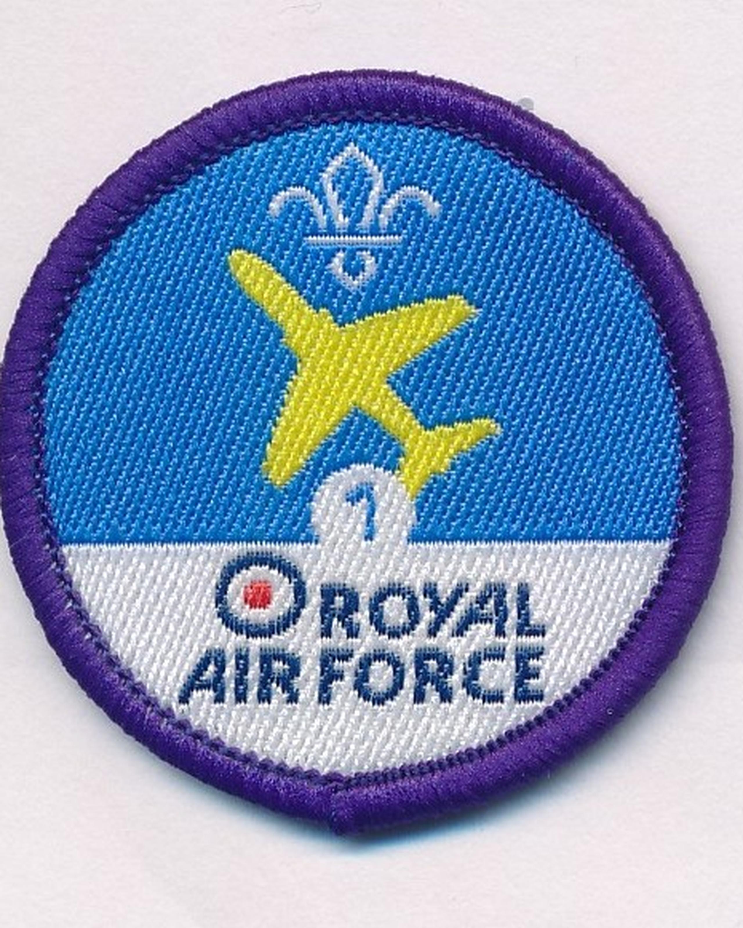 Scouts Swimmer Activity Badge - Stage 2