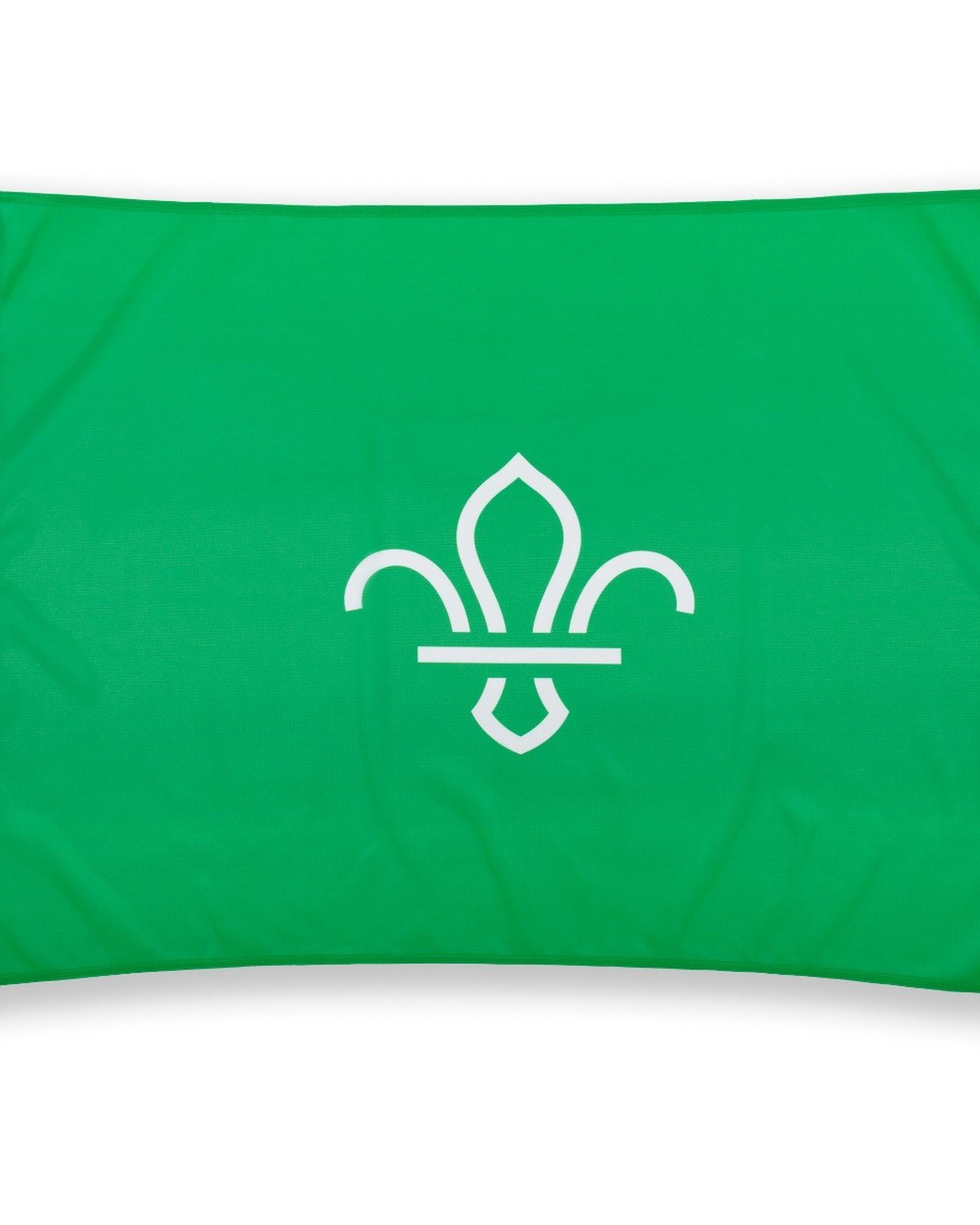 Staying Safe - the Scouts Safety Checklist for Leaders Volunteer Leaders