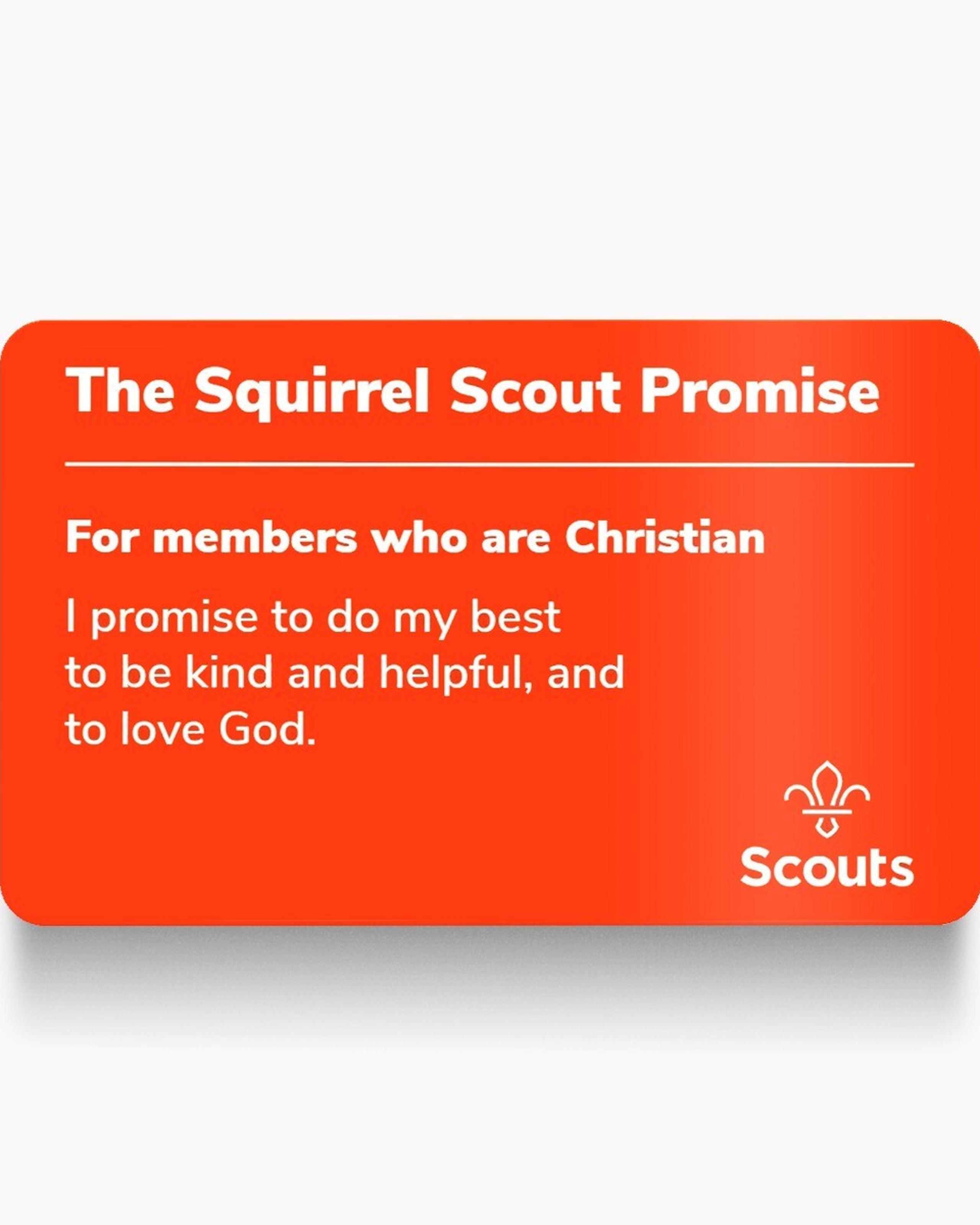 Beaver Scout International Activity Badge Volunteer Leaders