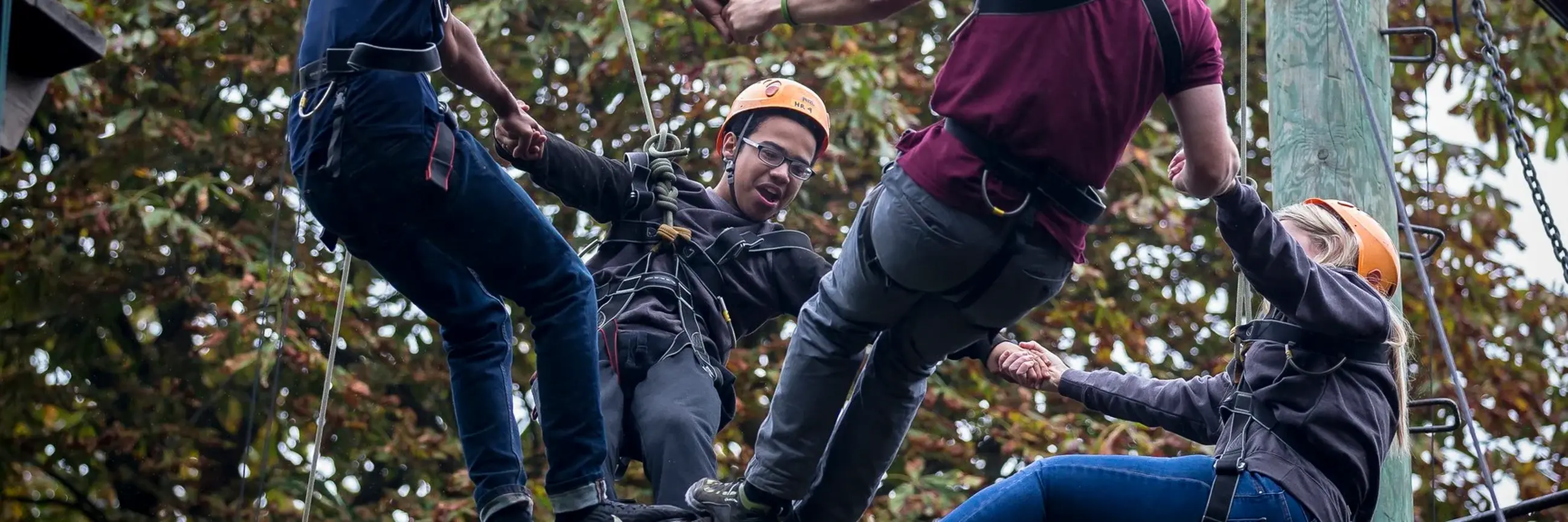 How to earn a Chief Scout's Award