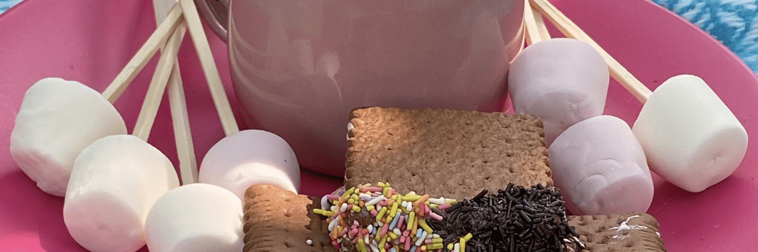 Get to knopw our supplier: Toast'd