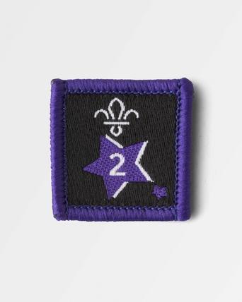 scout silver cross